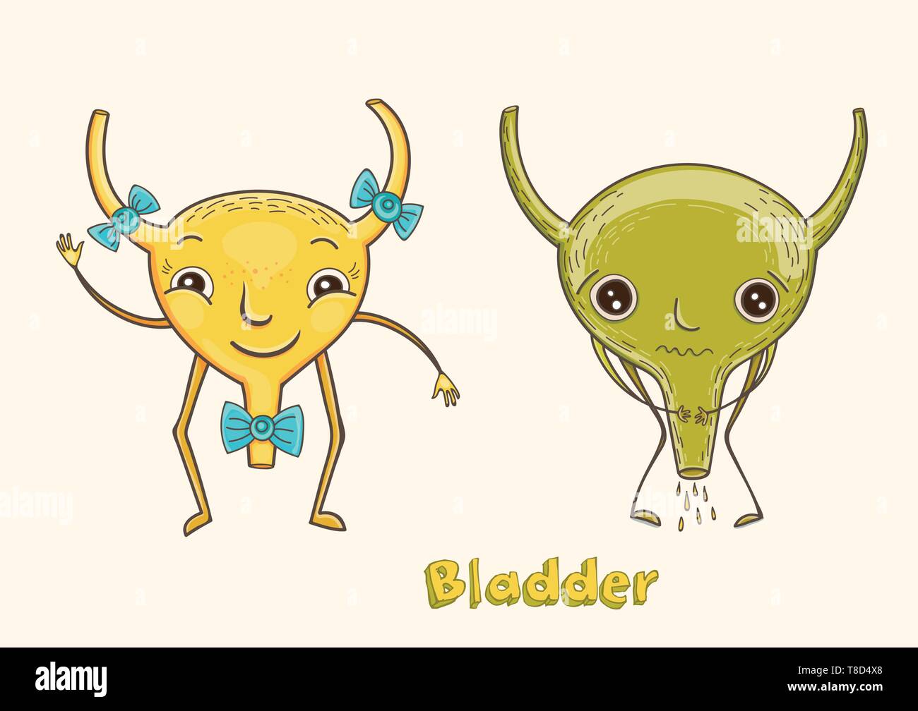 Cartoon vector illustration of healthy and sick human bladder. Funny ...