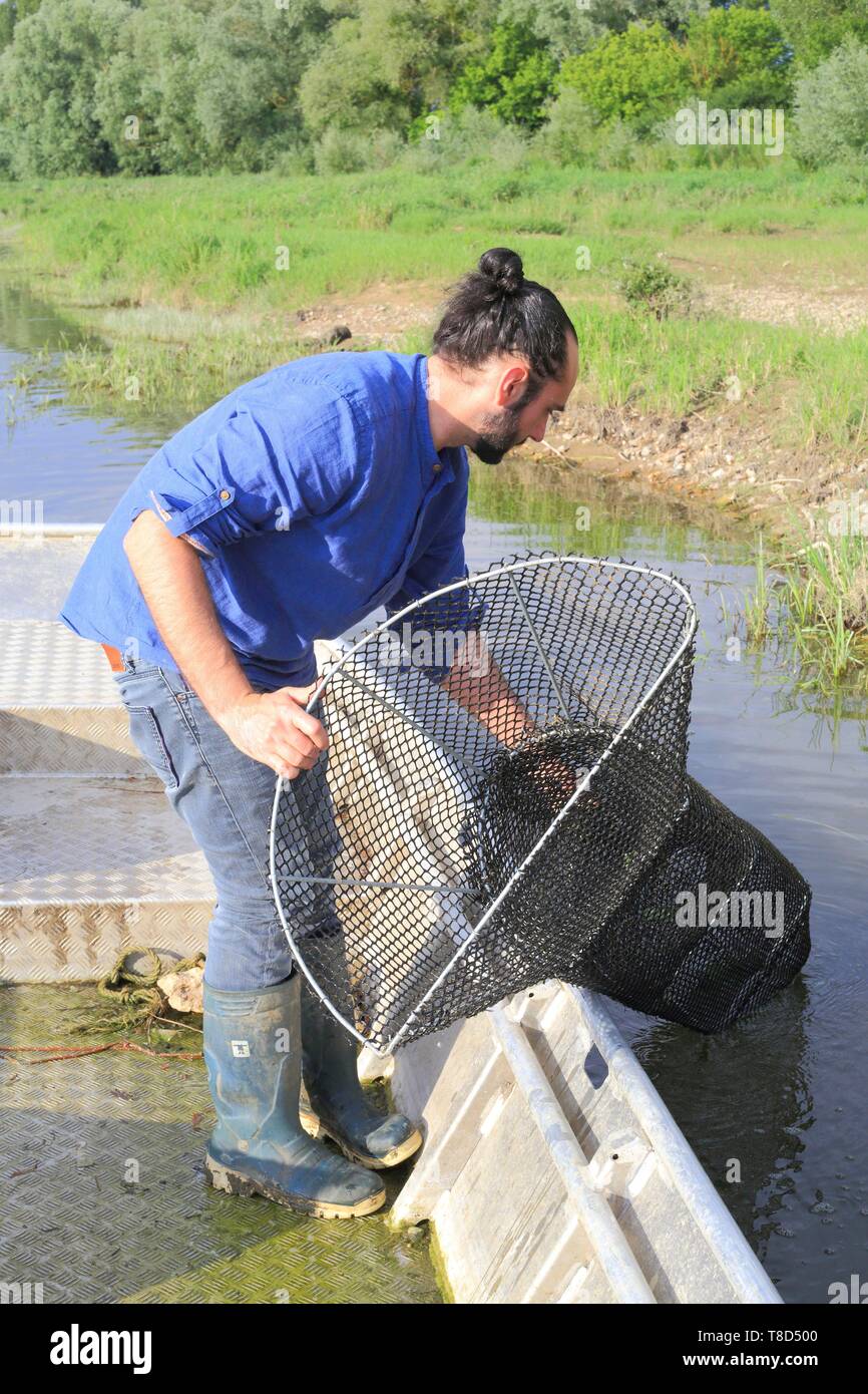 Fisherman fishing in river indre hi-res stock photography and images ...
