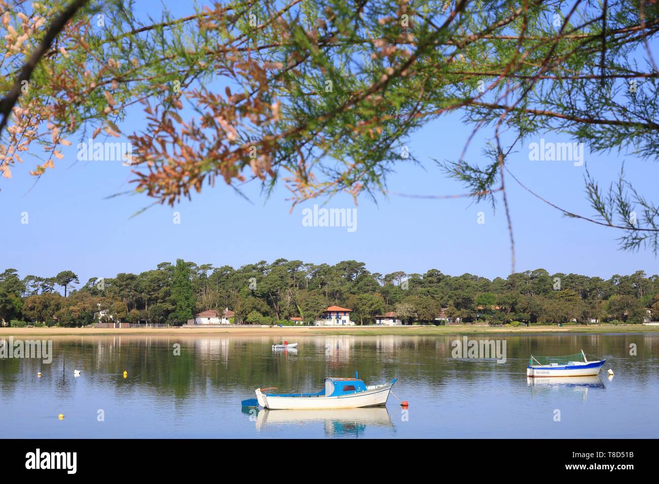 Soorts hossegor hi-res stock photography and images - Alamy