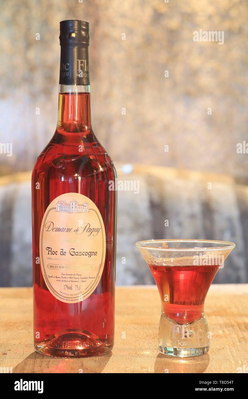 France, Landes, Betbezer d'Armagnac, Domaine de Paguy, Bas Armagnac ...