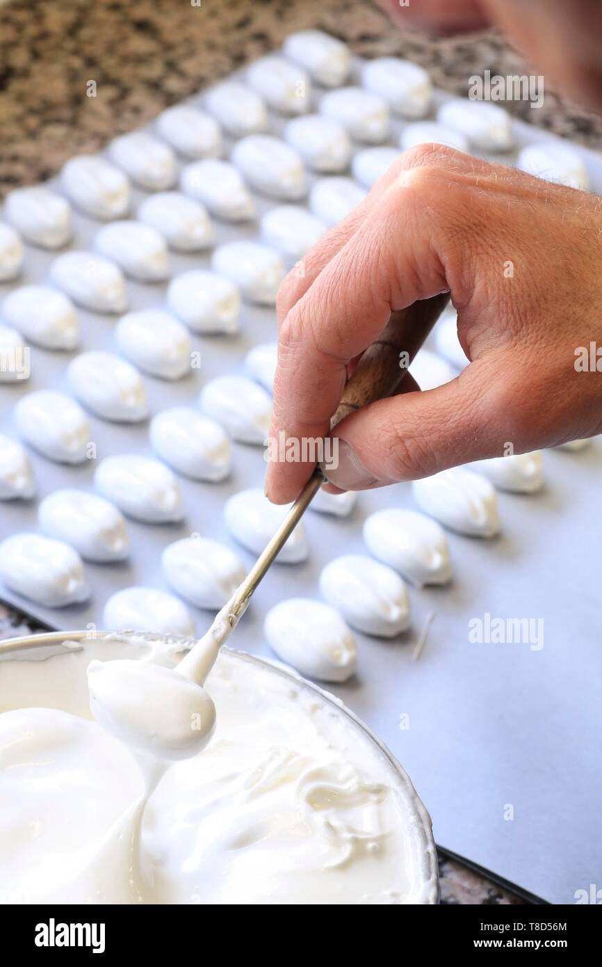 France, Hautes Pyrenees, Lannemezan plateau, Barthe de Neste, Flocons ...