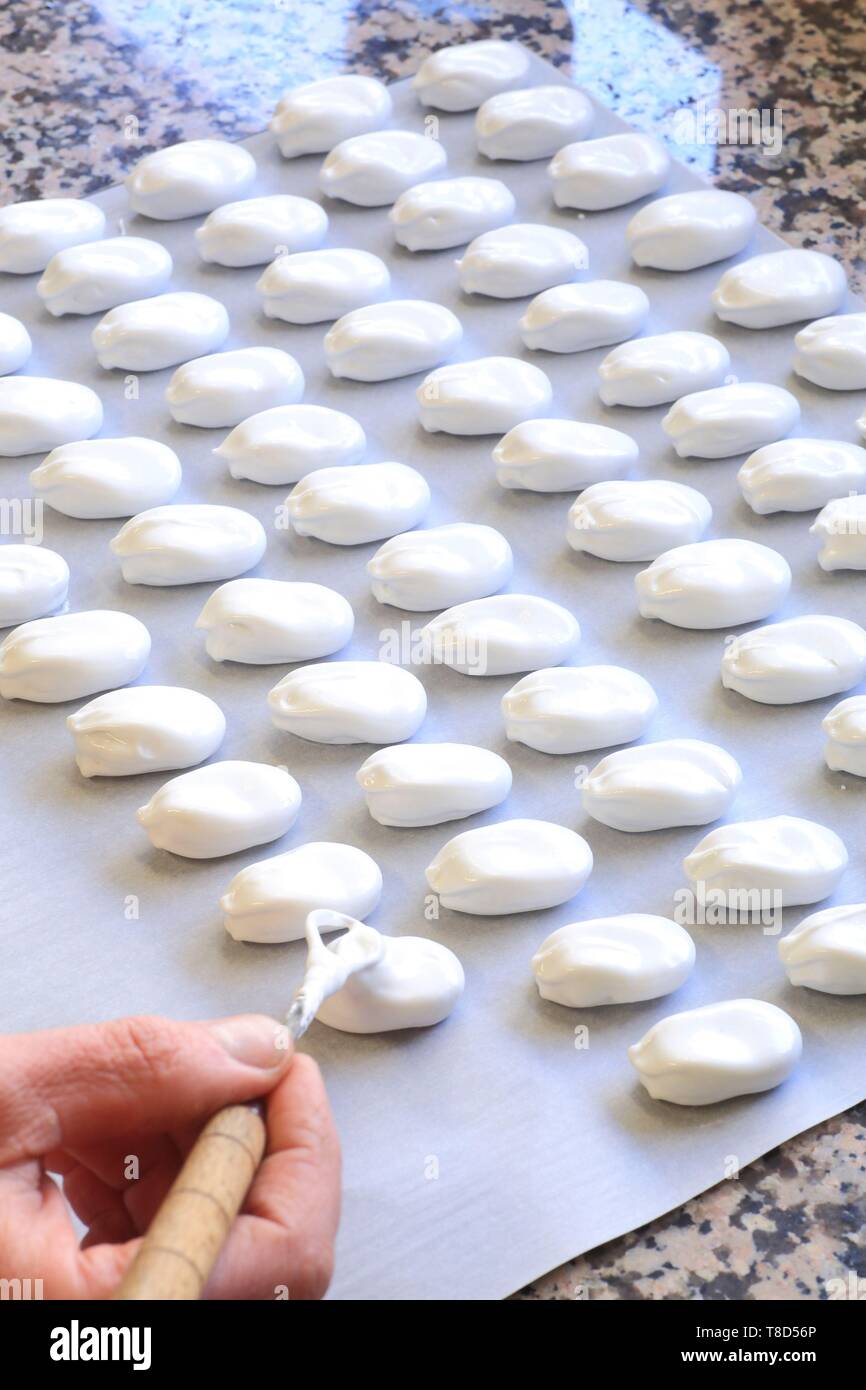 France, Hautes Pyrenees, Lannemezan plateau, Barthe de Neste, Flocons ...