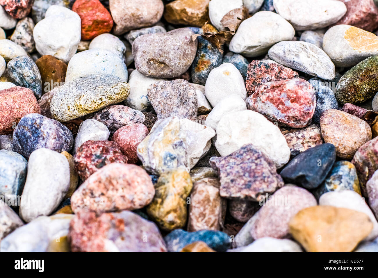 Landscape architecture, interior design and nature elements concept ...