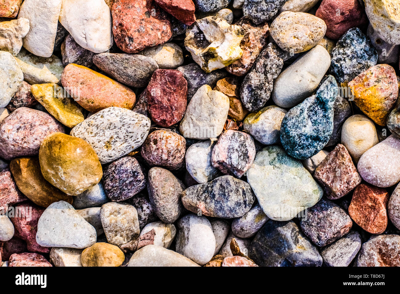 Landscape architecture, interior design and nature elements concept ...