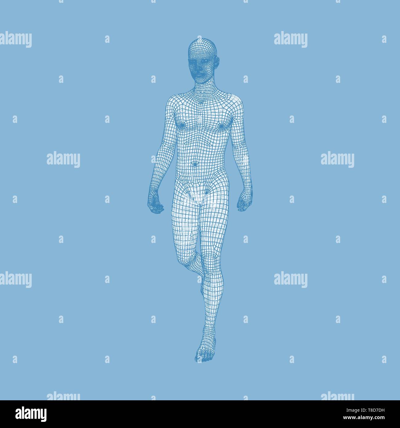 Walking Man. 3D Human Body Model. Geometric Design. Human Body Wire ...