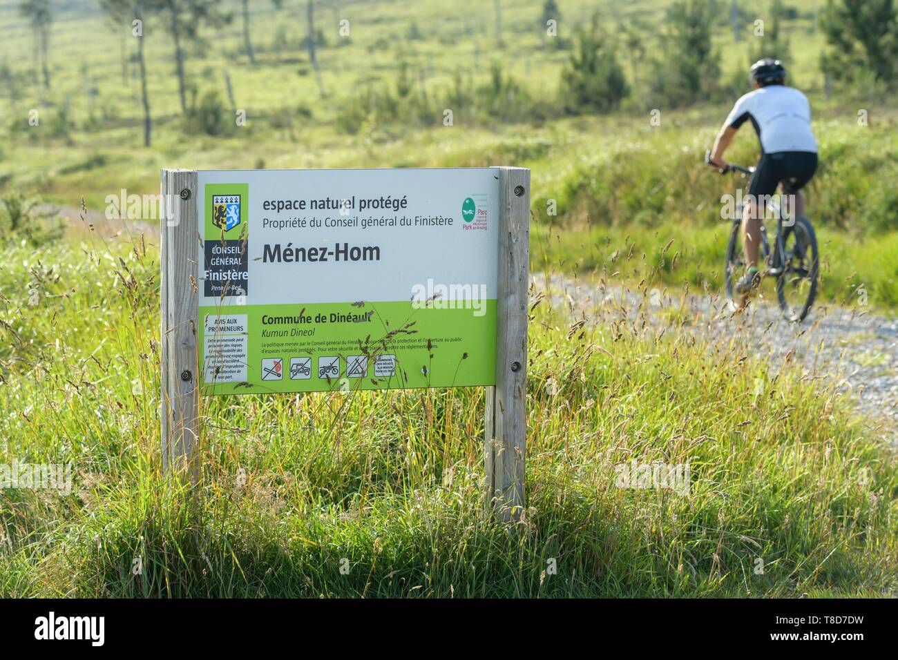 France, Finistere, Dineault, Mountain bike on the paths of Menez Hom ...