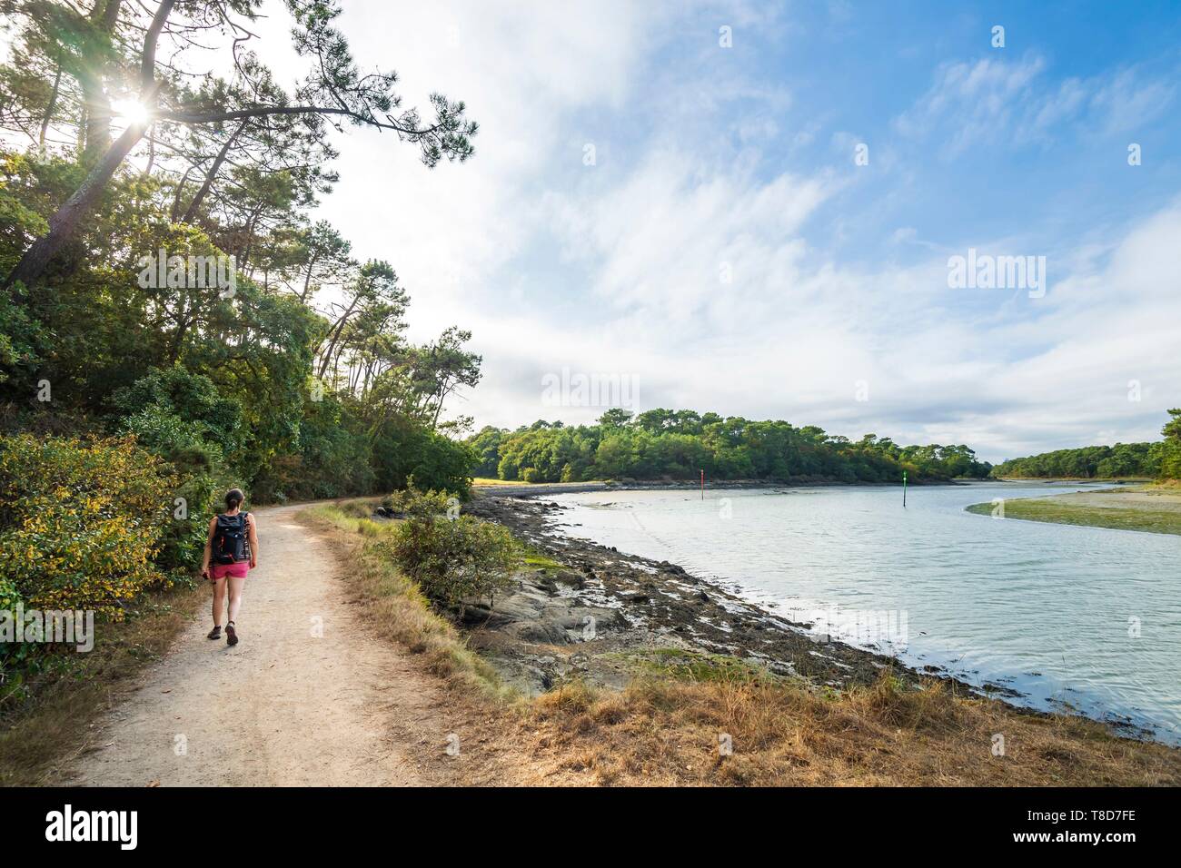 France, Finistere, Pont l'Abbe, walker along the Pont l'Abbe river ...