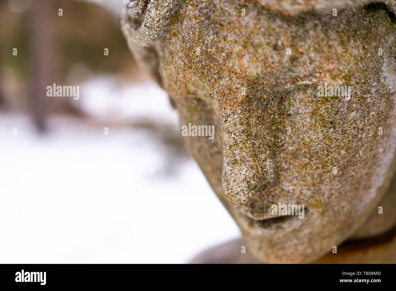 Statue woman warrior sculpture hi-res stock photography and images - Alamy
