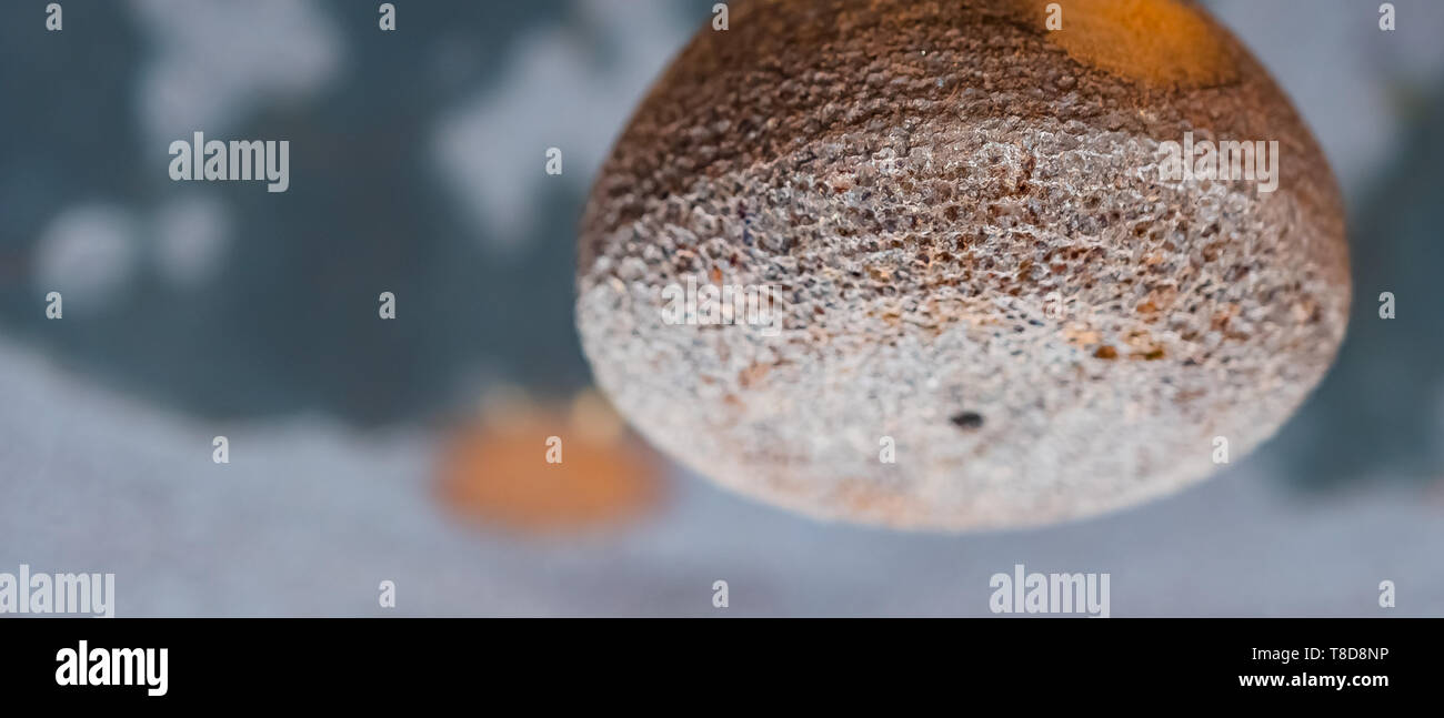 Bell clapper hi-res stock photography and images - Alamy