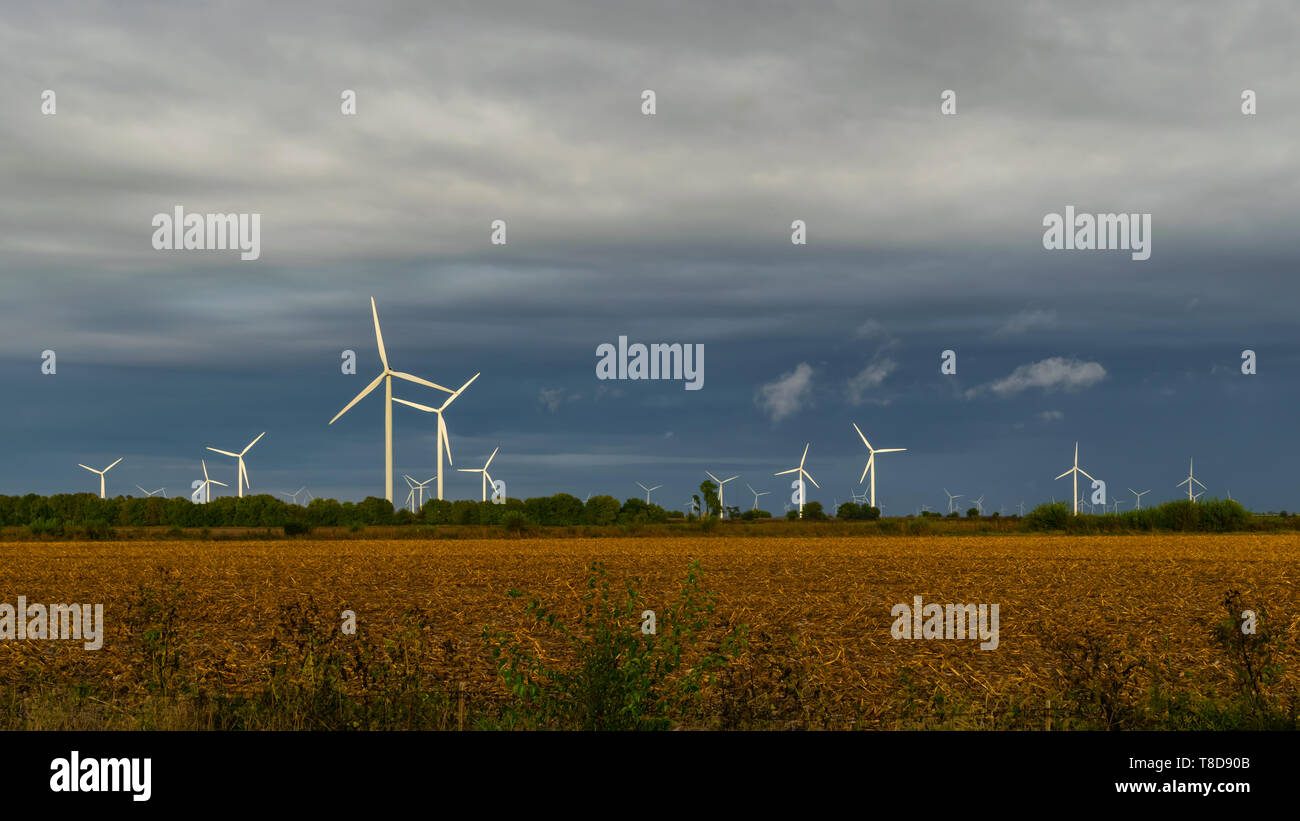 Wind Turbine Farm in an open field Stock Photo - Alamy