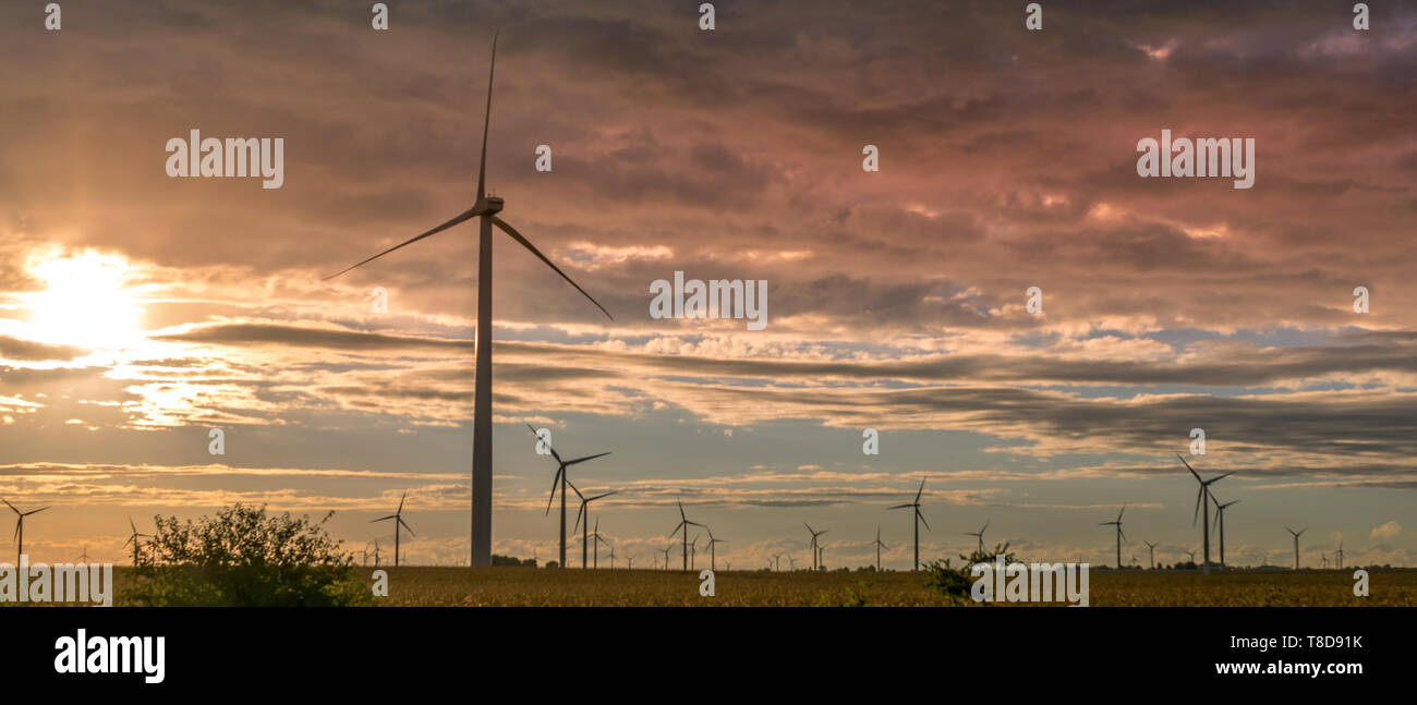 Wind Turbine in Northwest Indiana in a Corn Field during the sunset ...