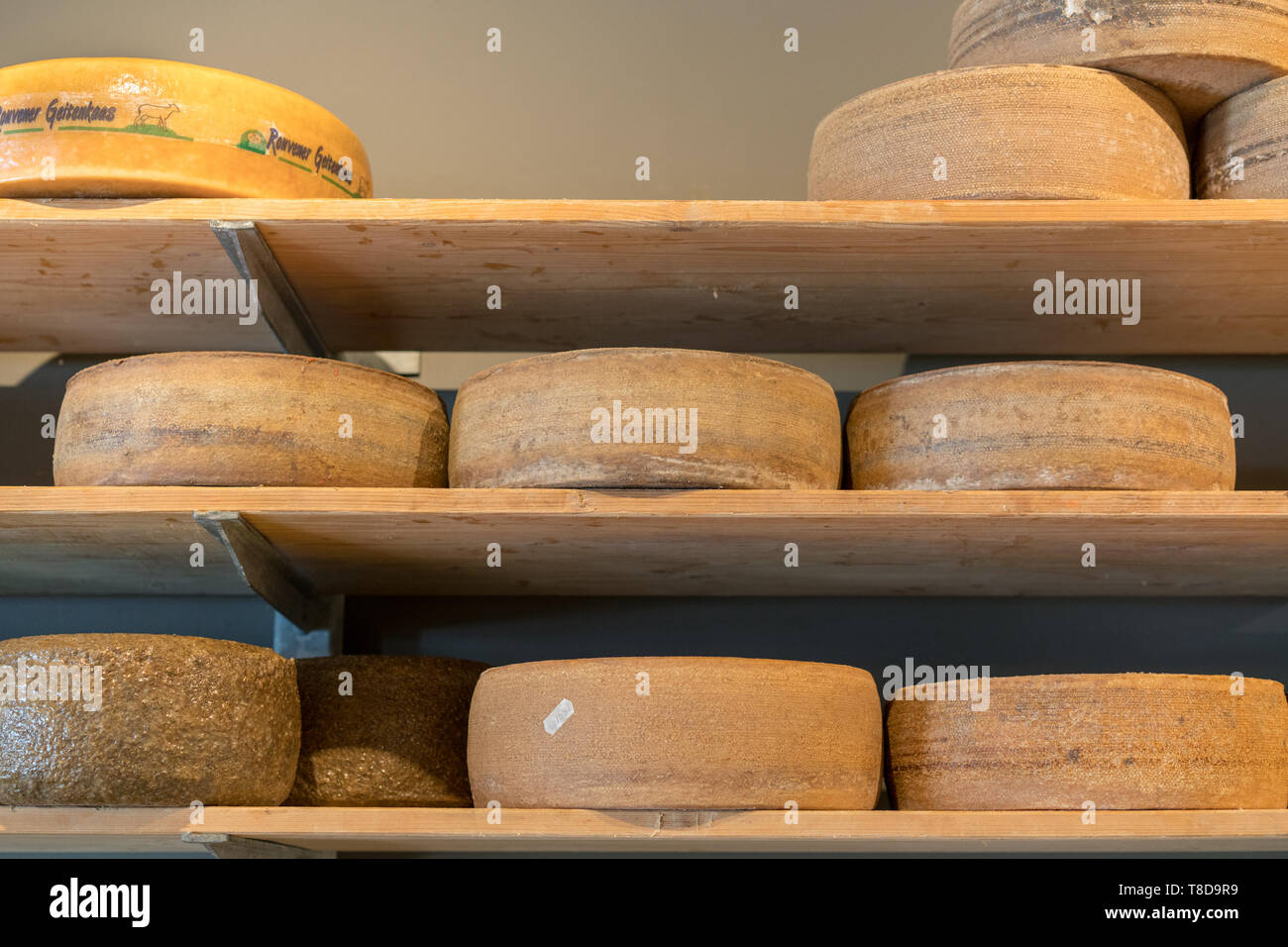 Display different cheese on hi-res stock photography and images - Alamy