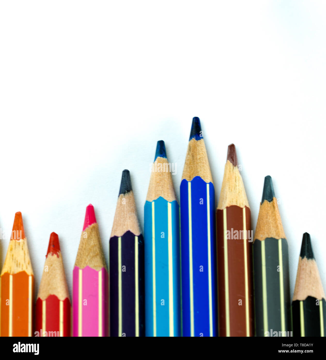 horizontal view of waves of colored pencils on a white background Stock ...