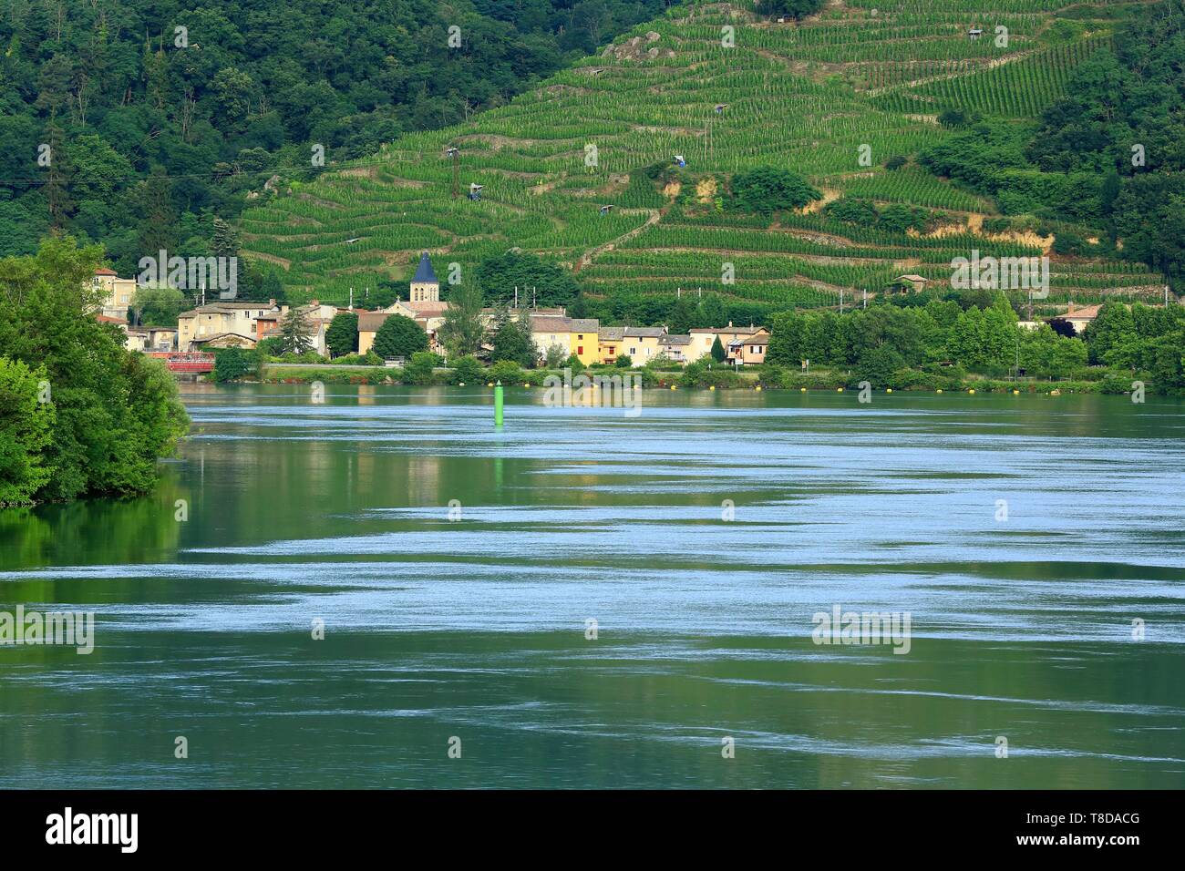 Vineyard condrieu rhone france hi-res stock photography and images - Alamy