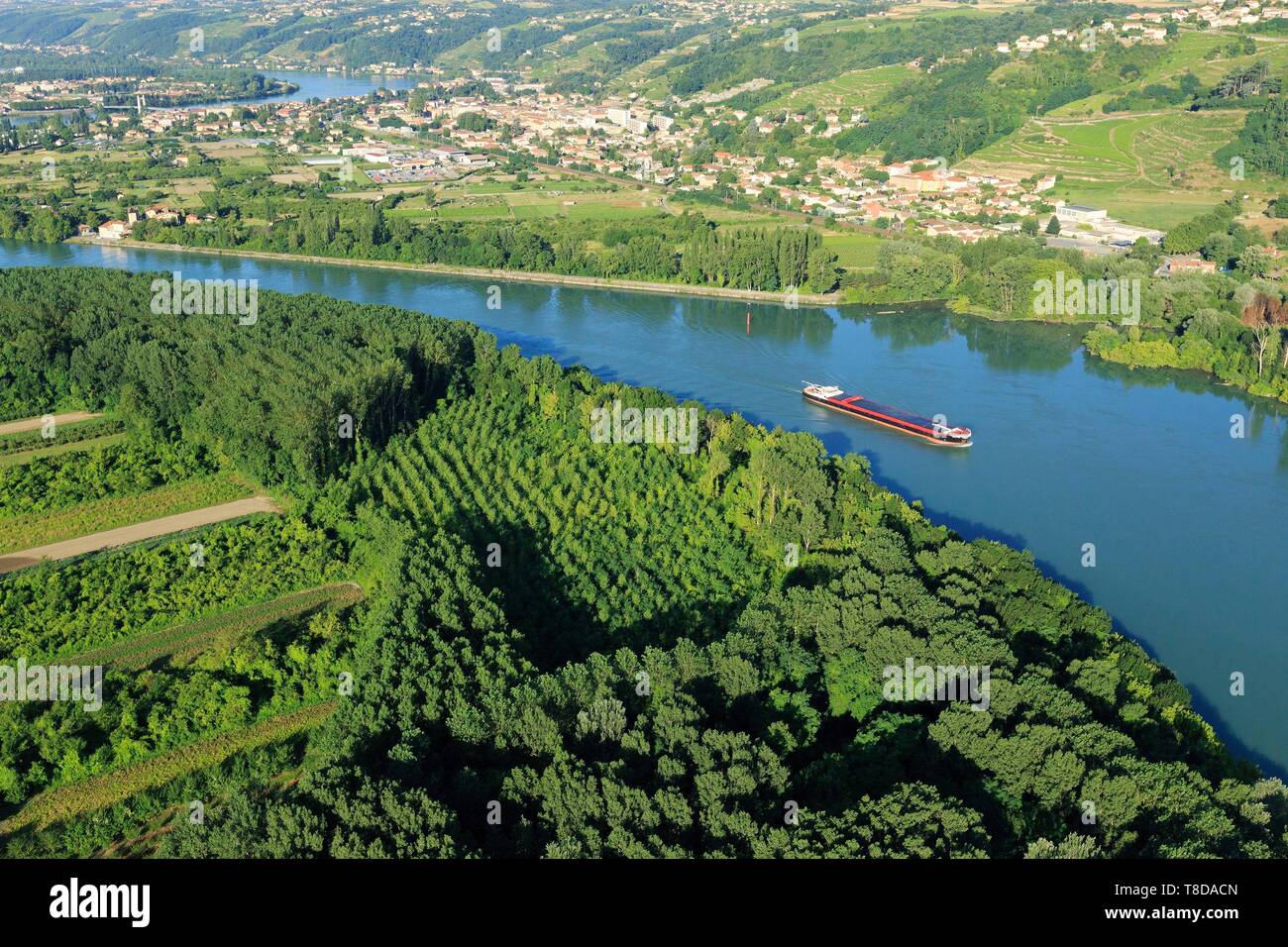 France, Isere, Chonas L'Amballan, Sensitive Natural Area of ??Gerbay ...