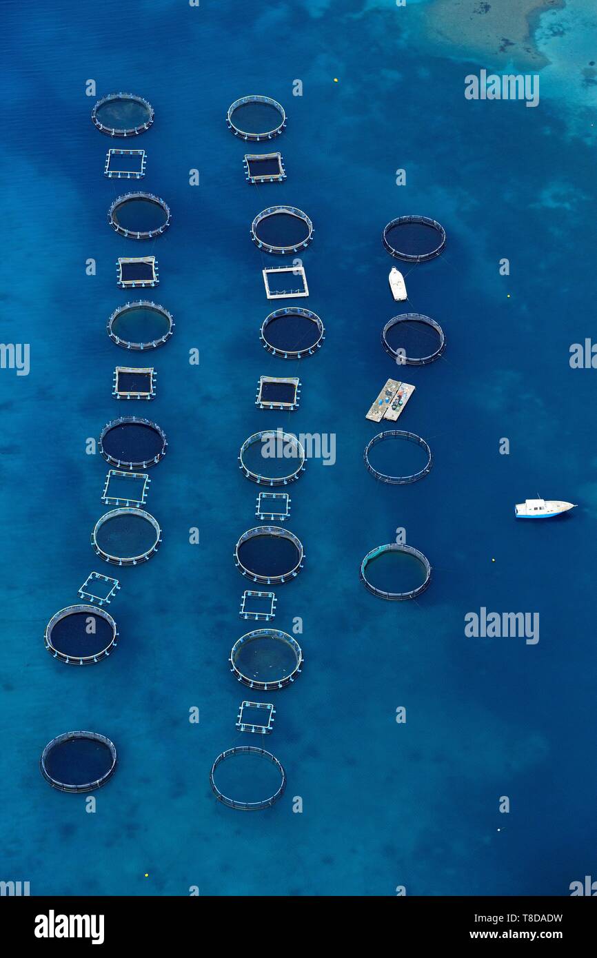 France, Corse du Sud, Gulf of Santa Manza, Bonifacio, marine farm ...