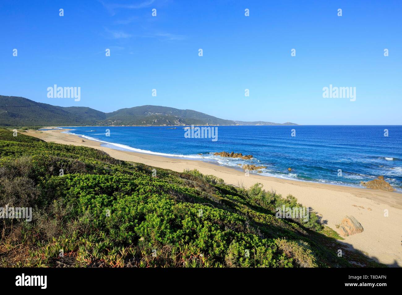 France, Corse du Sud, Propriano, Capu Laurosu Beach Stock Photo - Alamy