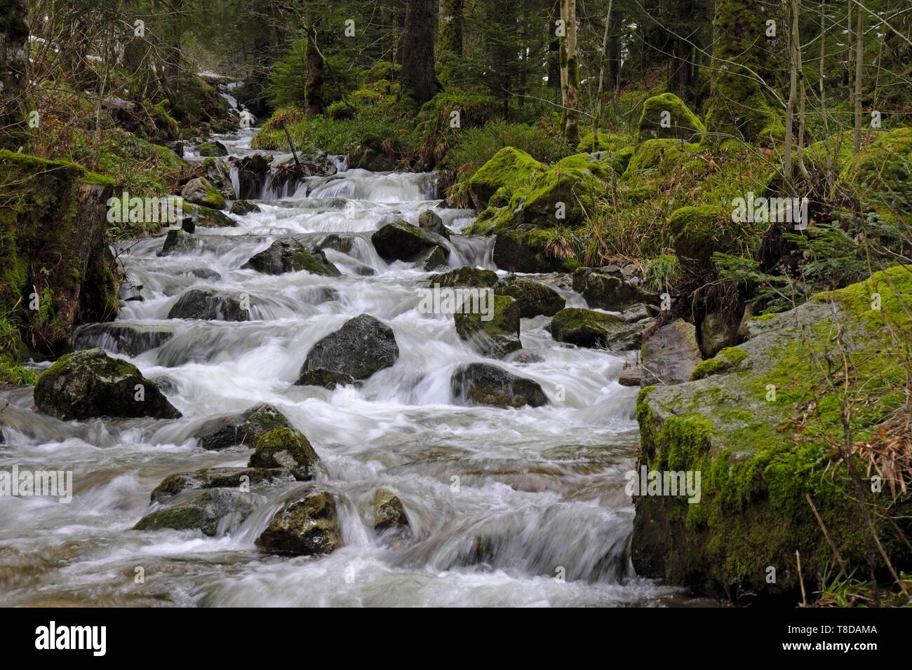 Straiture hi-res stock photography and images - Alamy