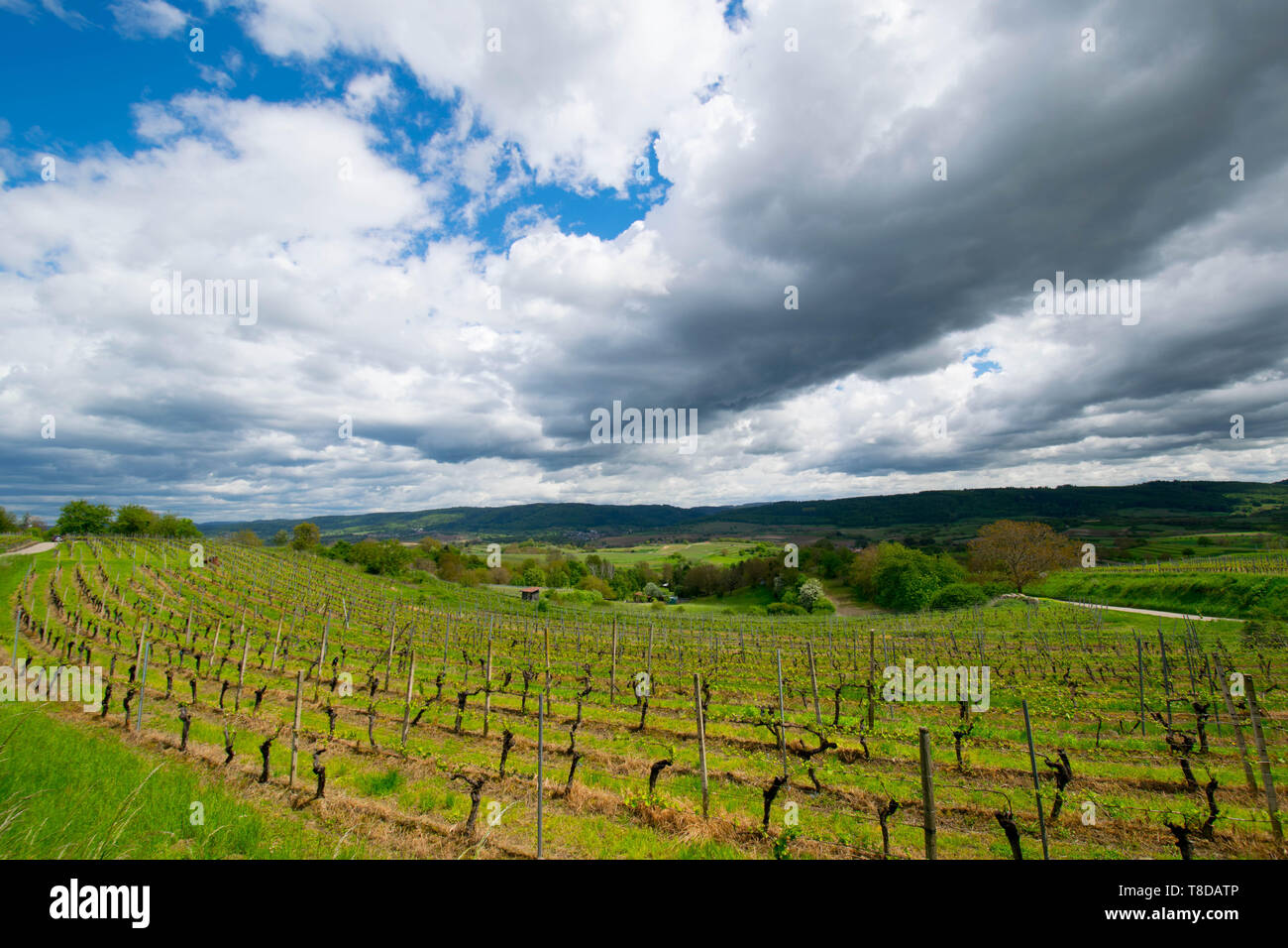 Ettenheim hi-res stock photography and images - Alamy