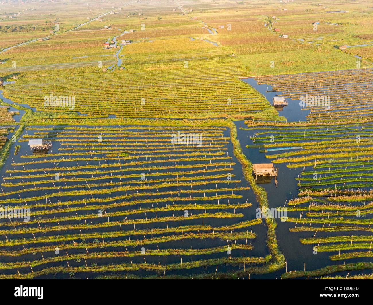 Myanmar (Burma), Shan State, Inle Lake, Kela Floating Gardens (aerial ...