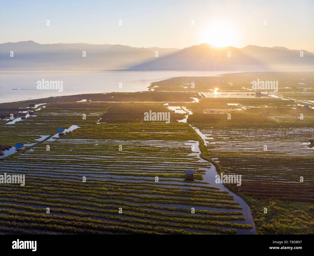Myanmar (Burma), Shan State, Inle Lake, Kela Floating Gardens (aerial ...
