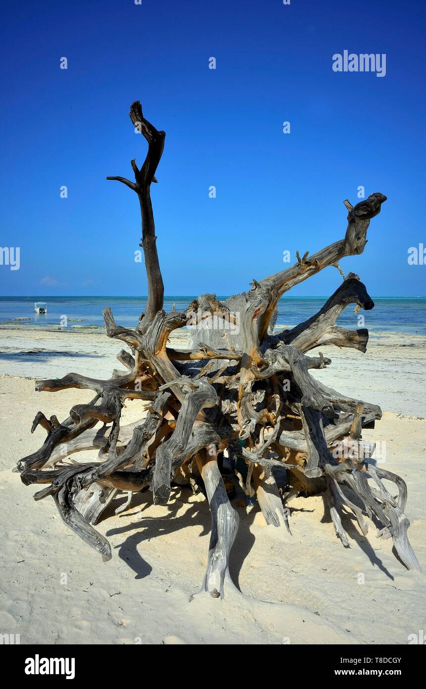 Jambiani beach zanzibar island tanzania hi-res stock photography and ...