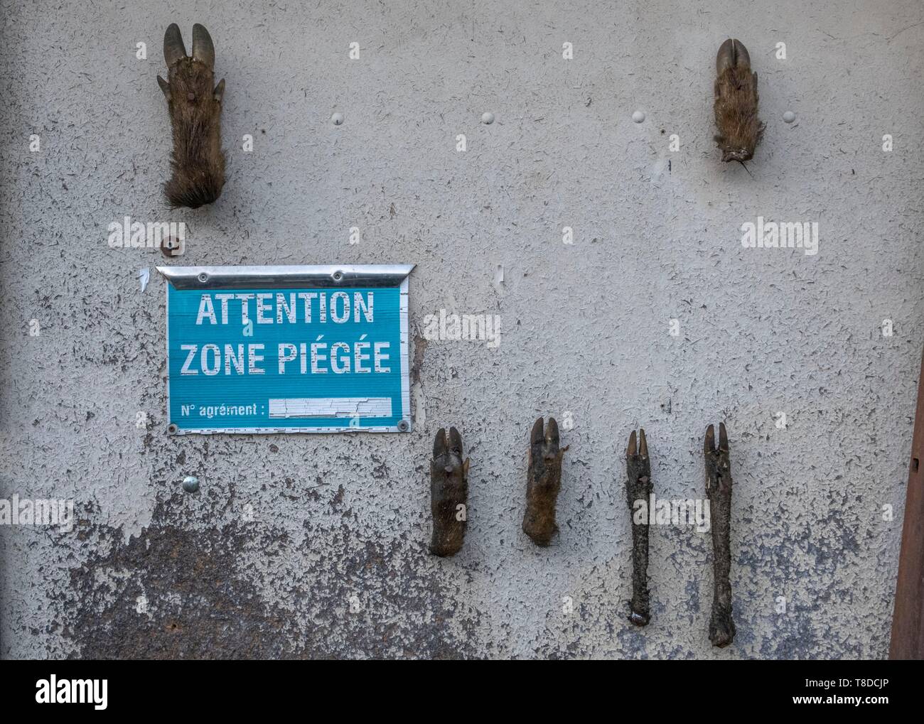 Trophies france hi-res stock photography and images - Alamy