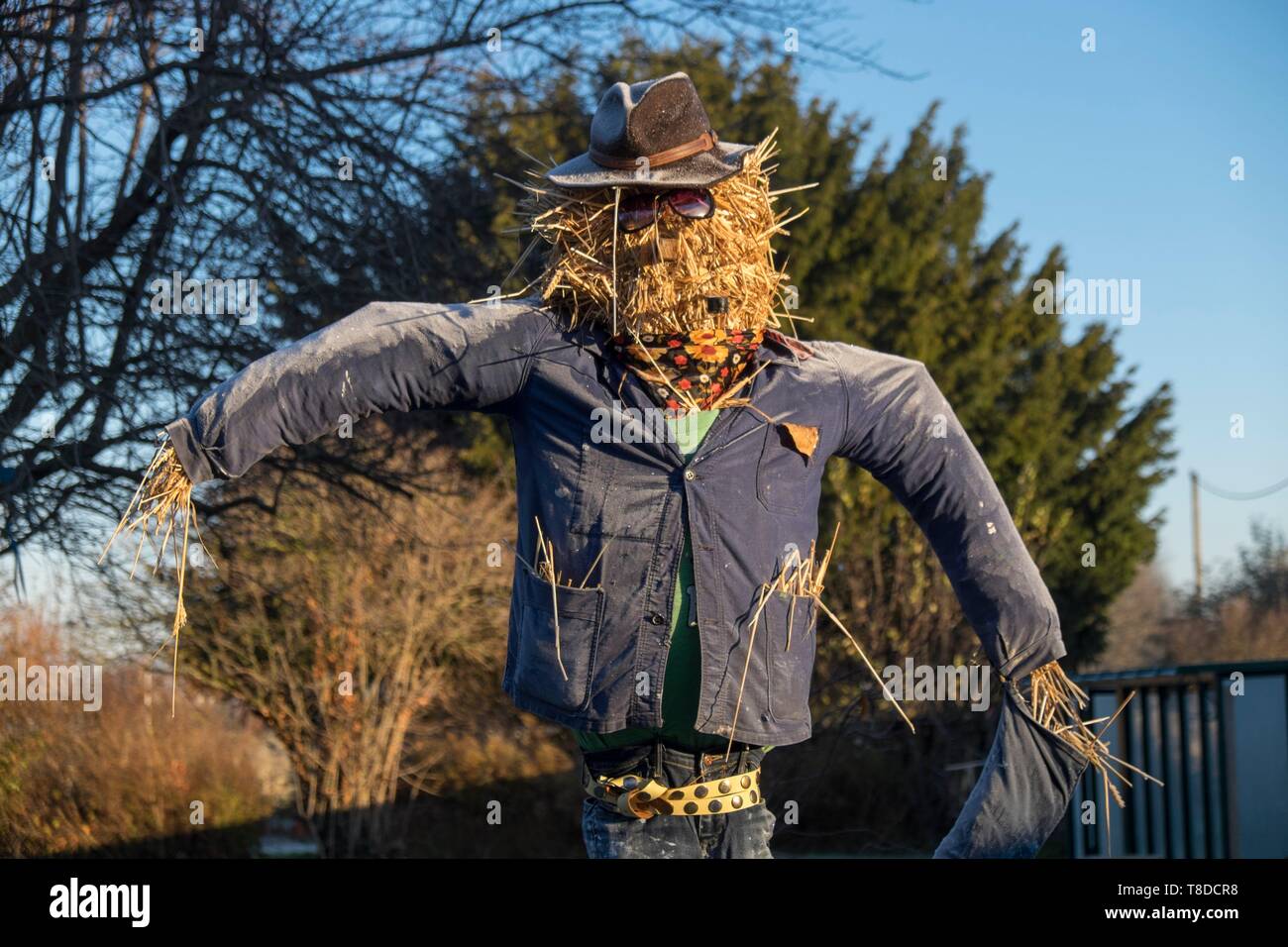 Human scarecrow hi-res stock photography and images - Alamy