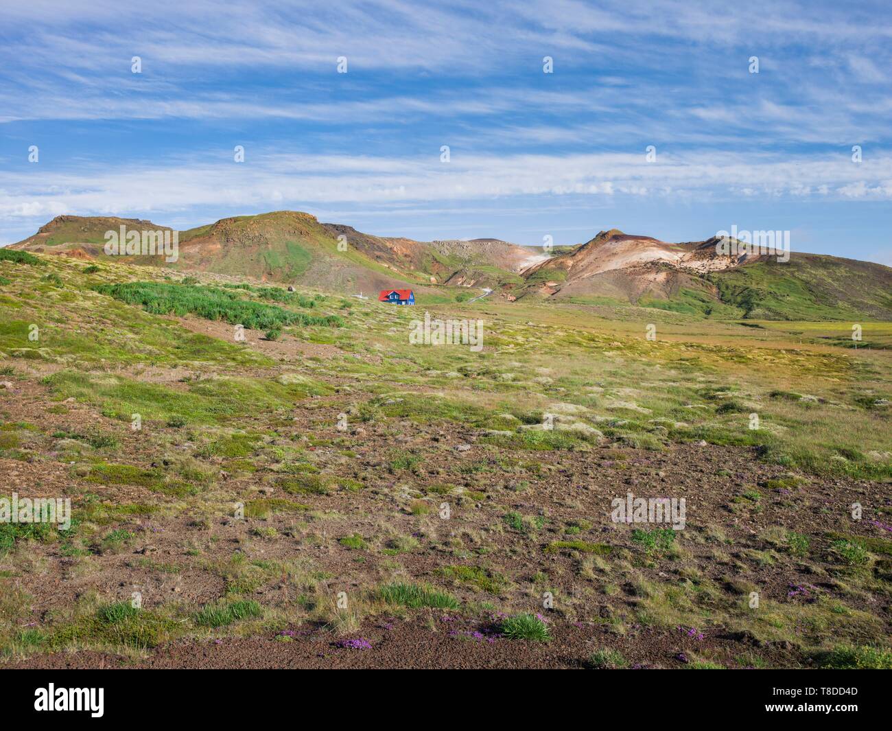 Iceland, Southern Peninsula Region, Kr²suvÝk geotermic region Stock ...