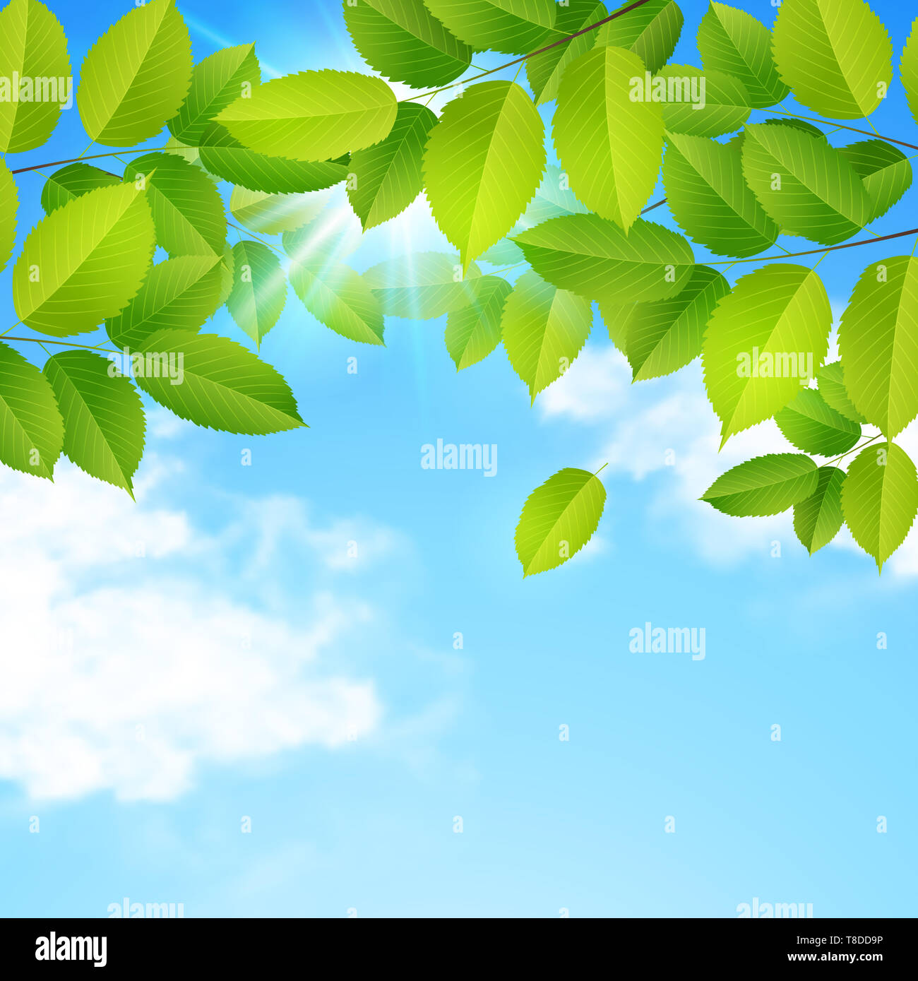 Spring nature background with green leaves, clouds and blue sky Stock ...