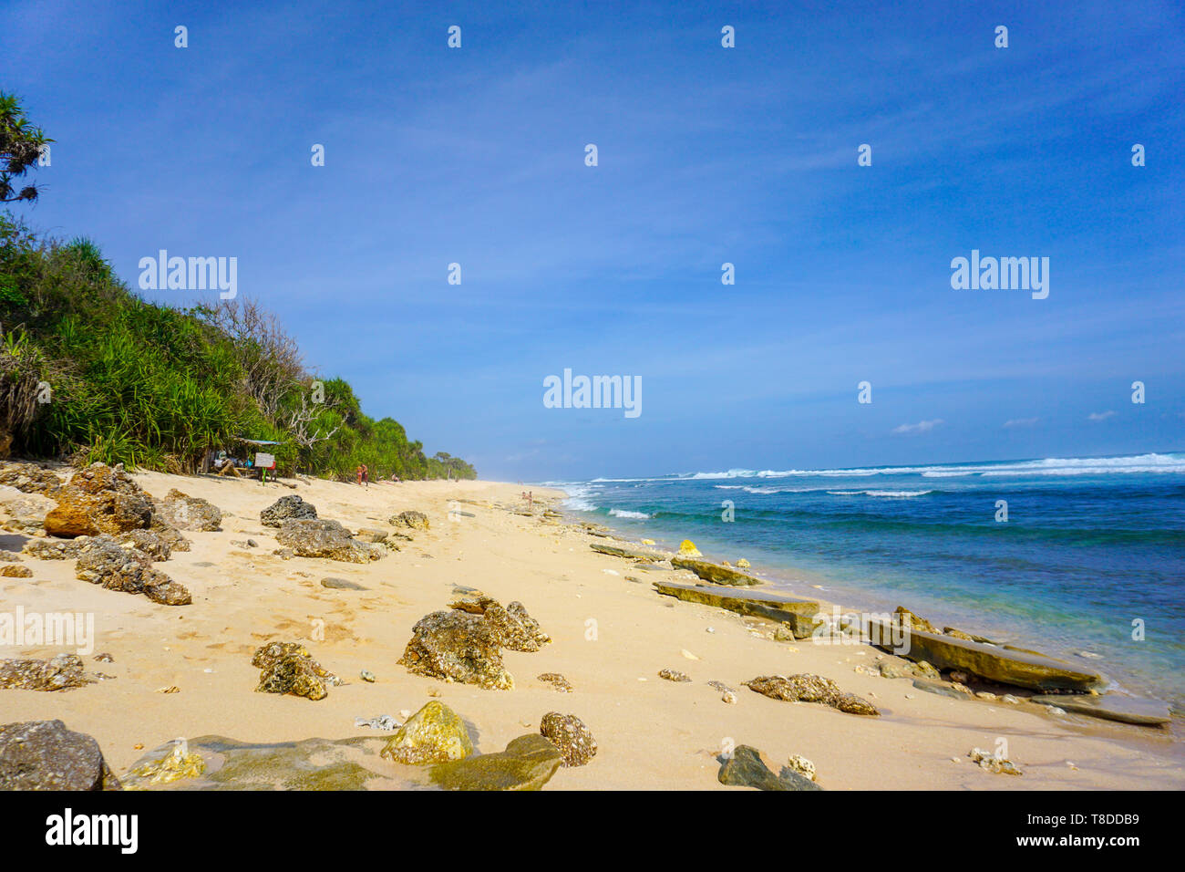 Secluded golden sandy beach, azure ocean water Golden sandy beach ...