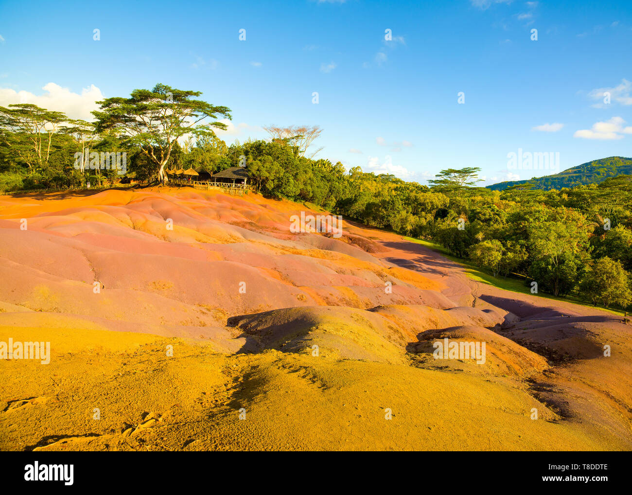 Aerial view of Chamarel Waterfall in the tropical island jungle ...