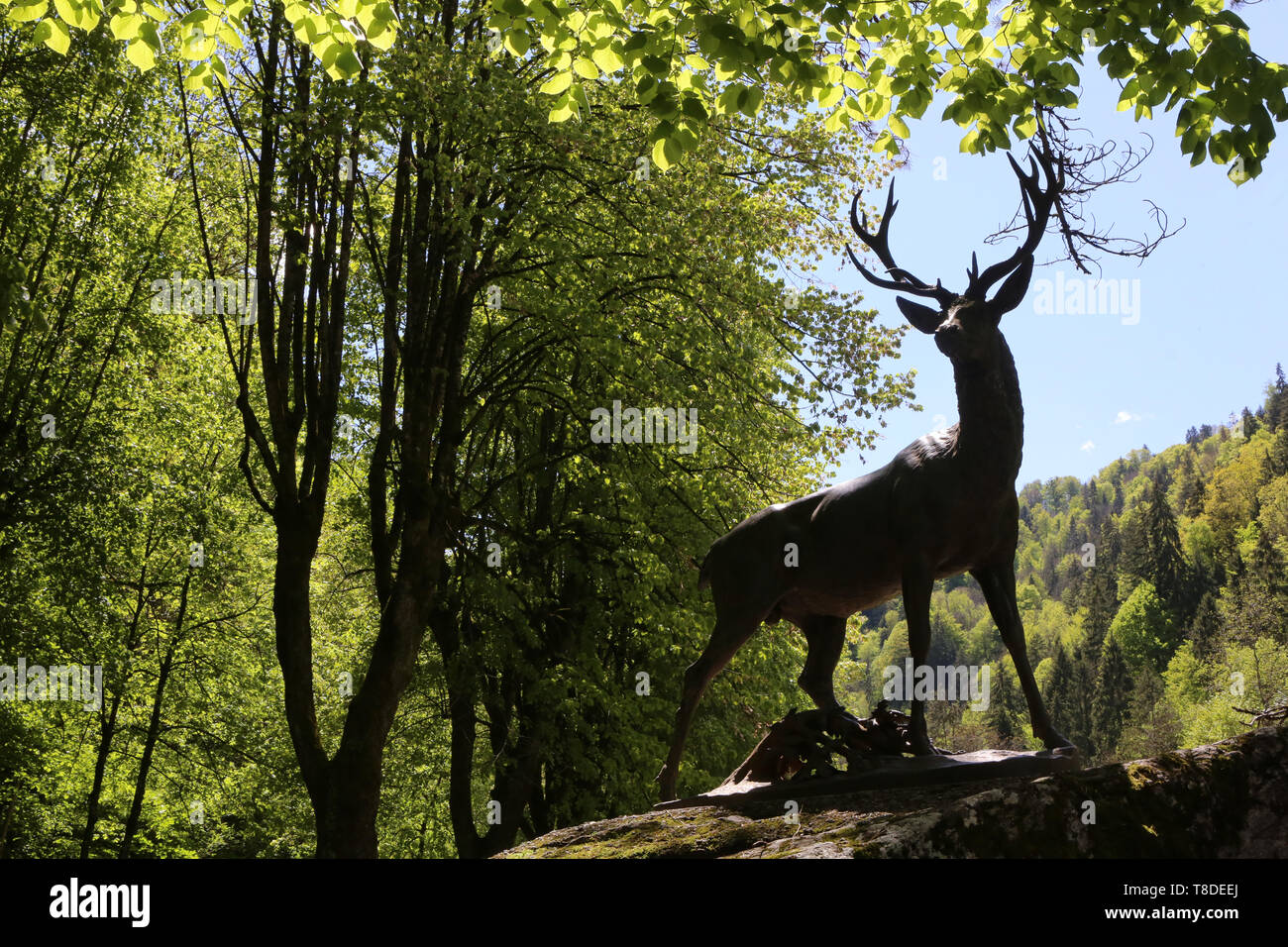 Statue de saint louis hi-res stock photography and images - Alamy