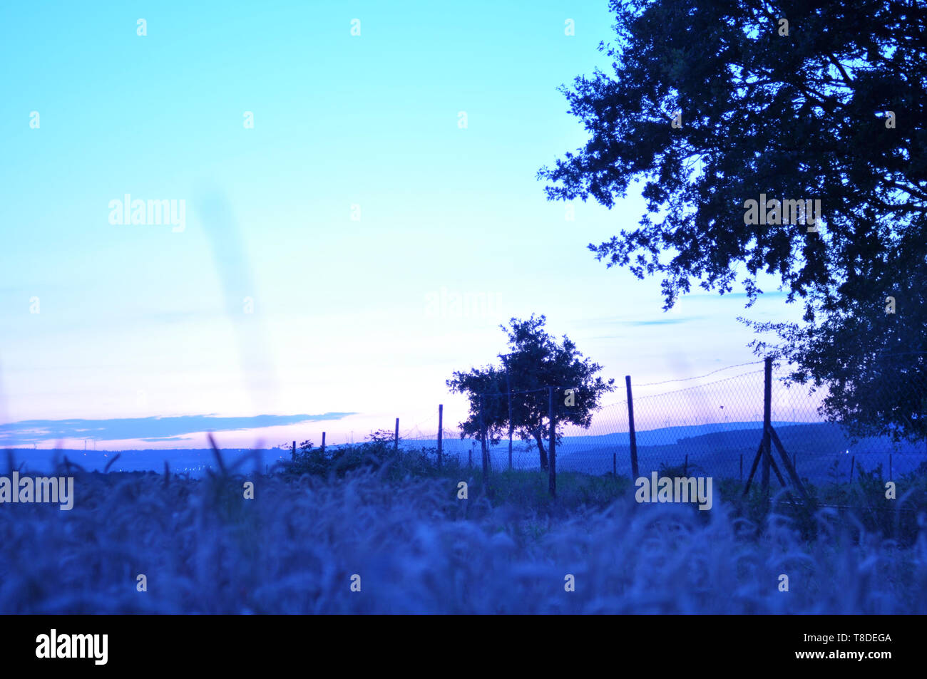 Field night landscape hi-res stock photography and images - Alamy