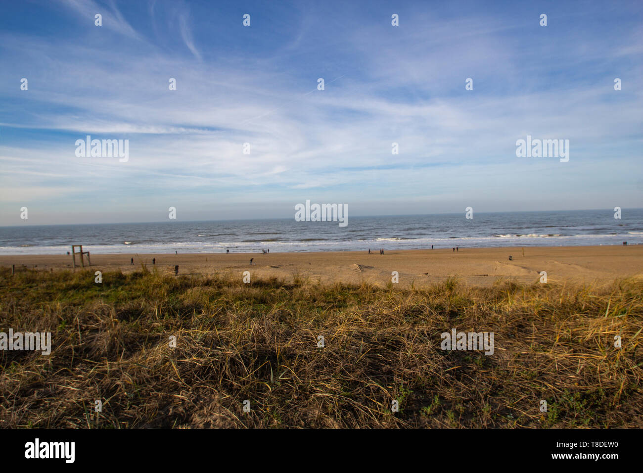 Beautiful beach and ocean landscape at the coast of Zandvoort ...