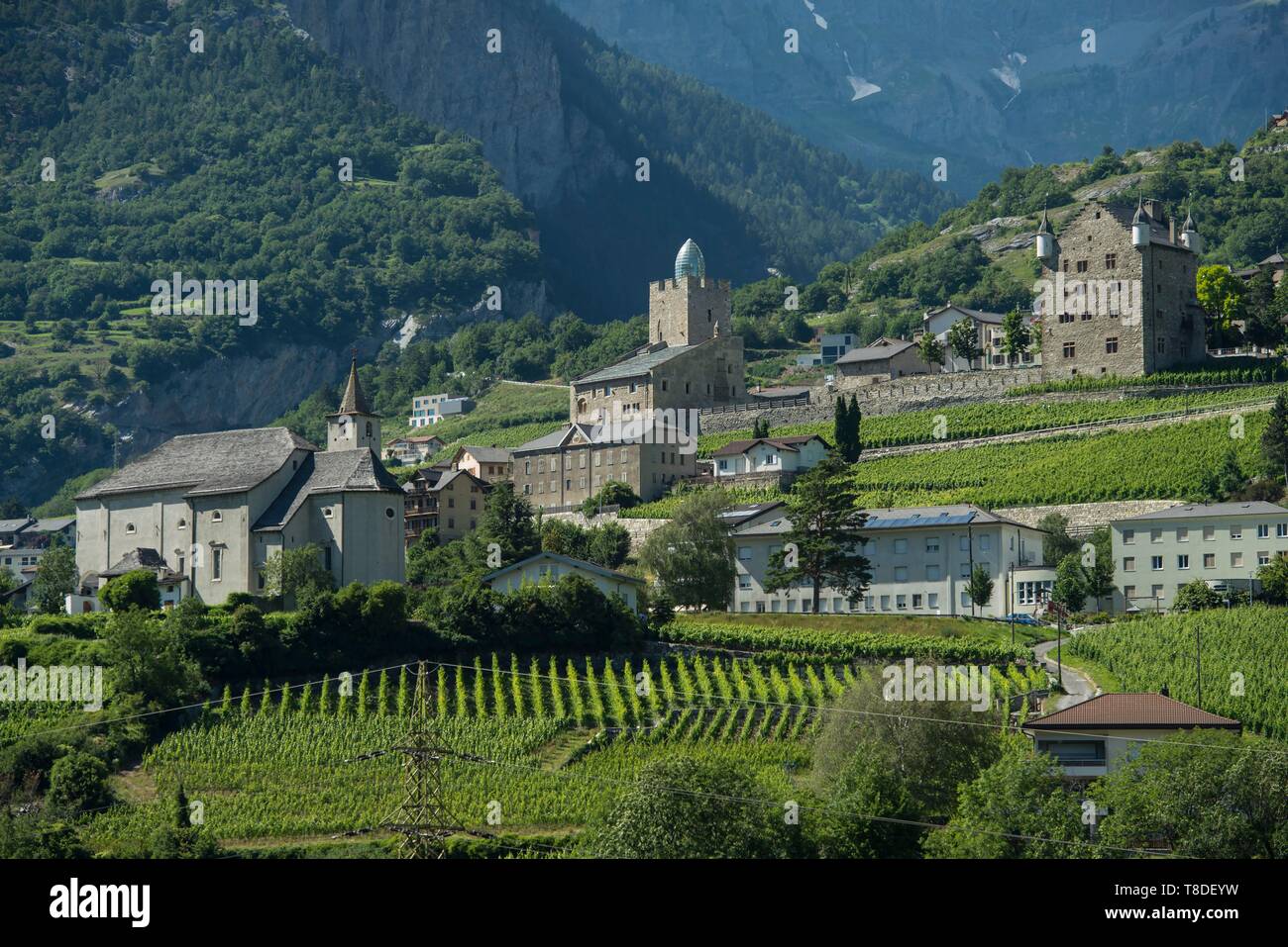Switzerland, Valais, the vineyard around the picturesque village of ...