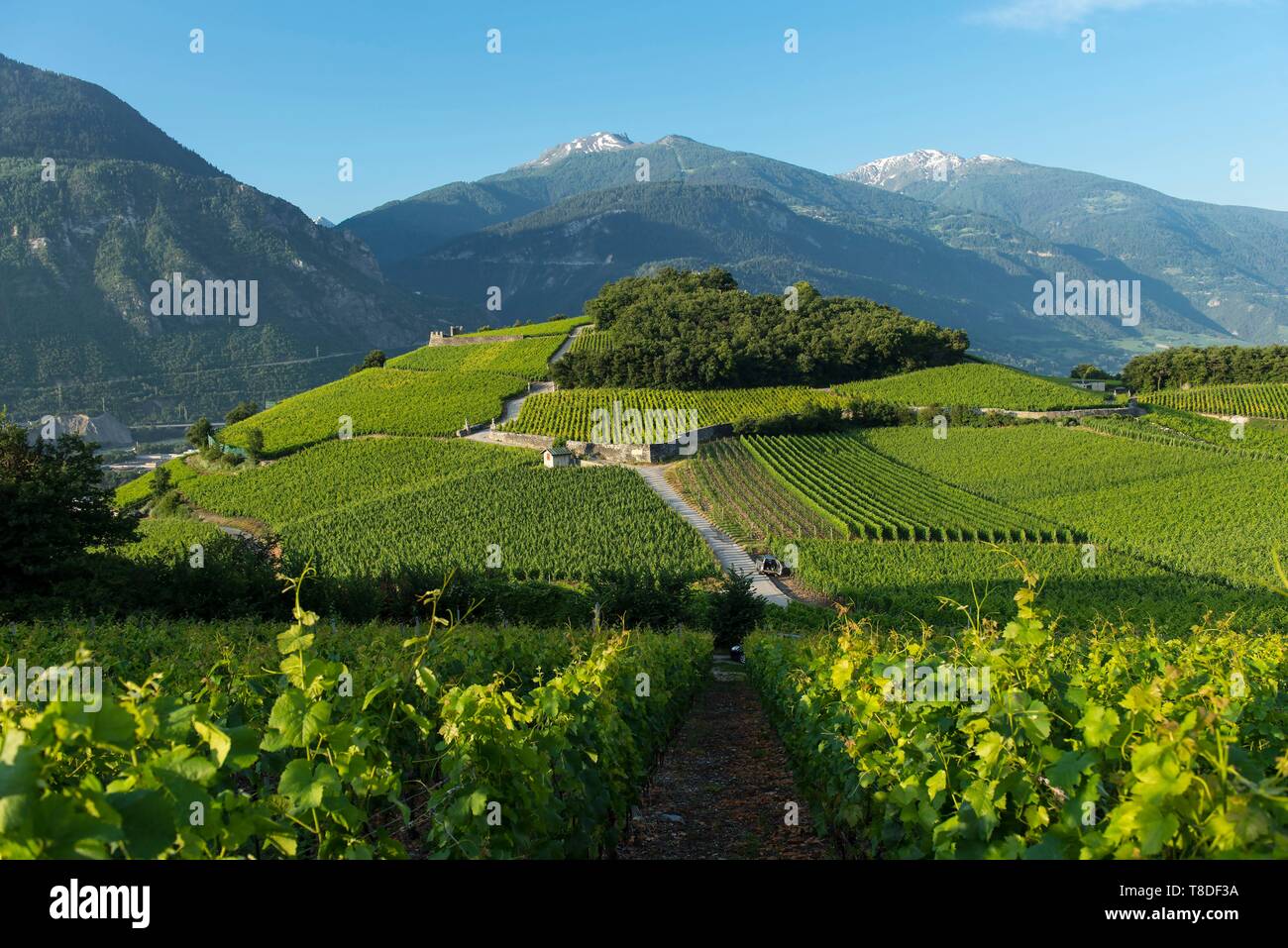 Sierre Switzerland Stock Photos & Sierre Switzerland Stock Images - Alamy