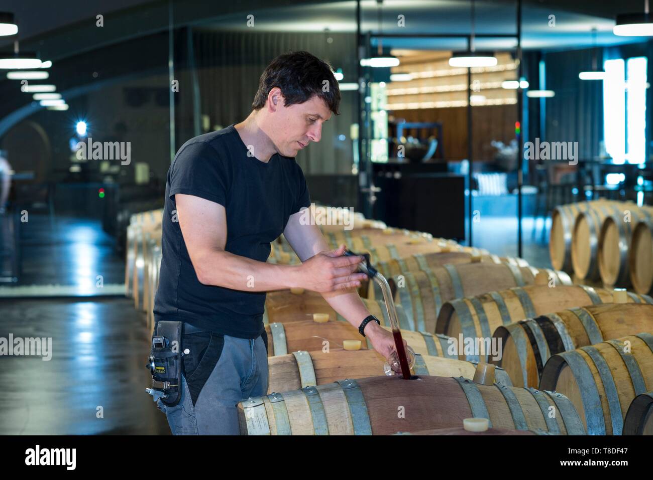 Switzerland, Valais, Val d'Anniviers, portrait of oenologist Michael ...