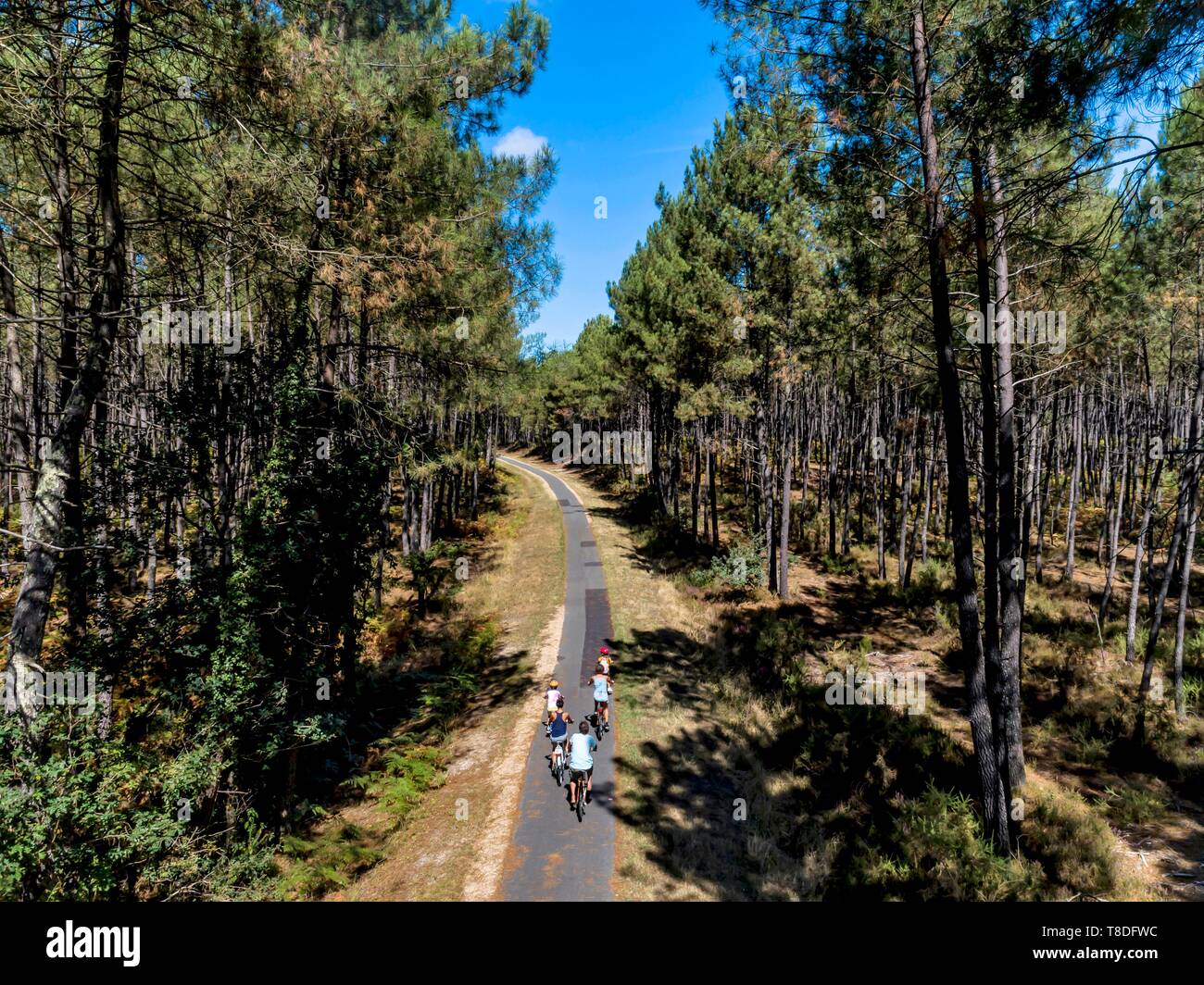 Landes de gascogne regional natural park hi-res stock photography and ...
