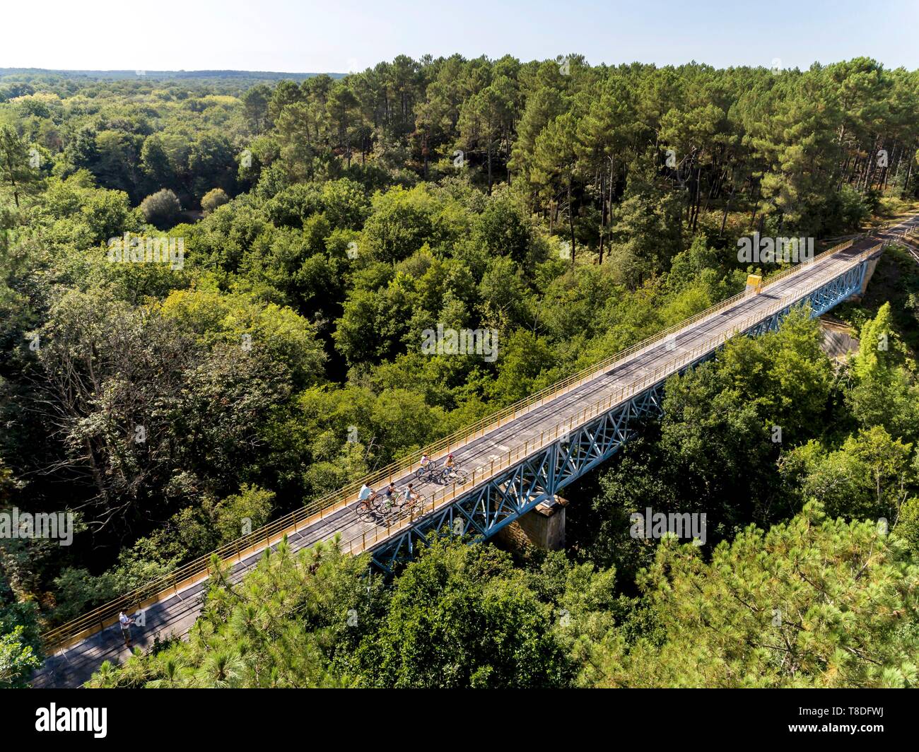 Landes De Gascogne Regional Natural Park High Resolution Stock ...