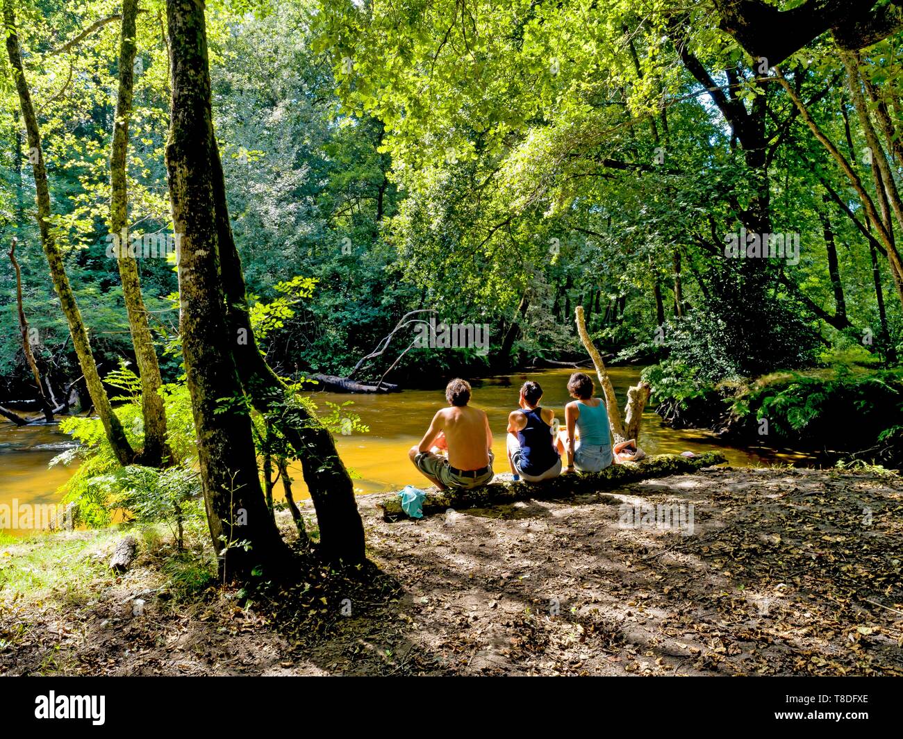 Landes de gascogne regional natural park hi-res stock photography and ...
