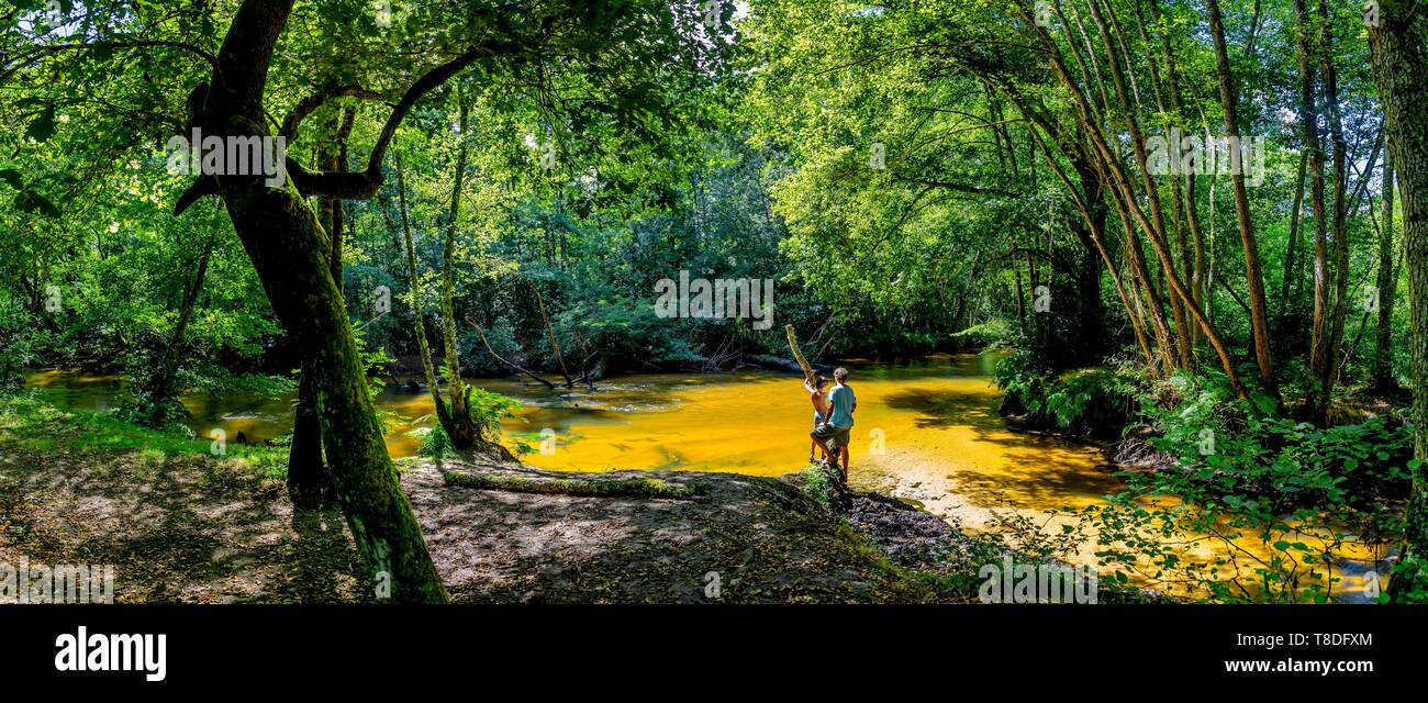 Landes de gascogne regional park hi-res stock photography and images ...