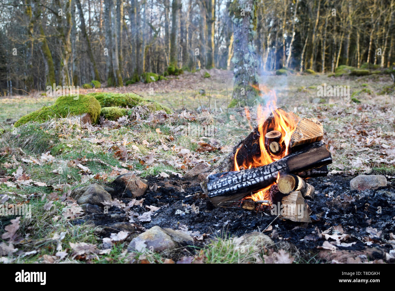 Bbq ban hi-res stock photography and images - Alamy