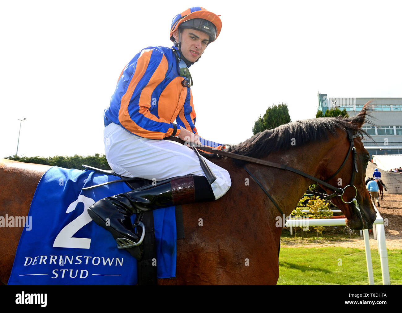 Donnacha obrien hi-res stock photography and images - Alamy