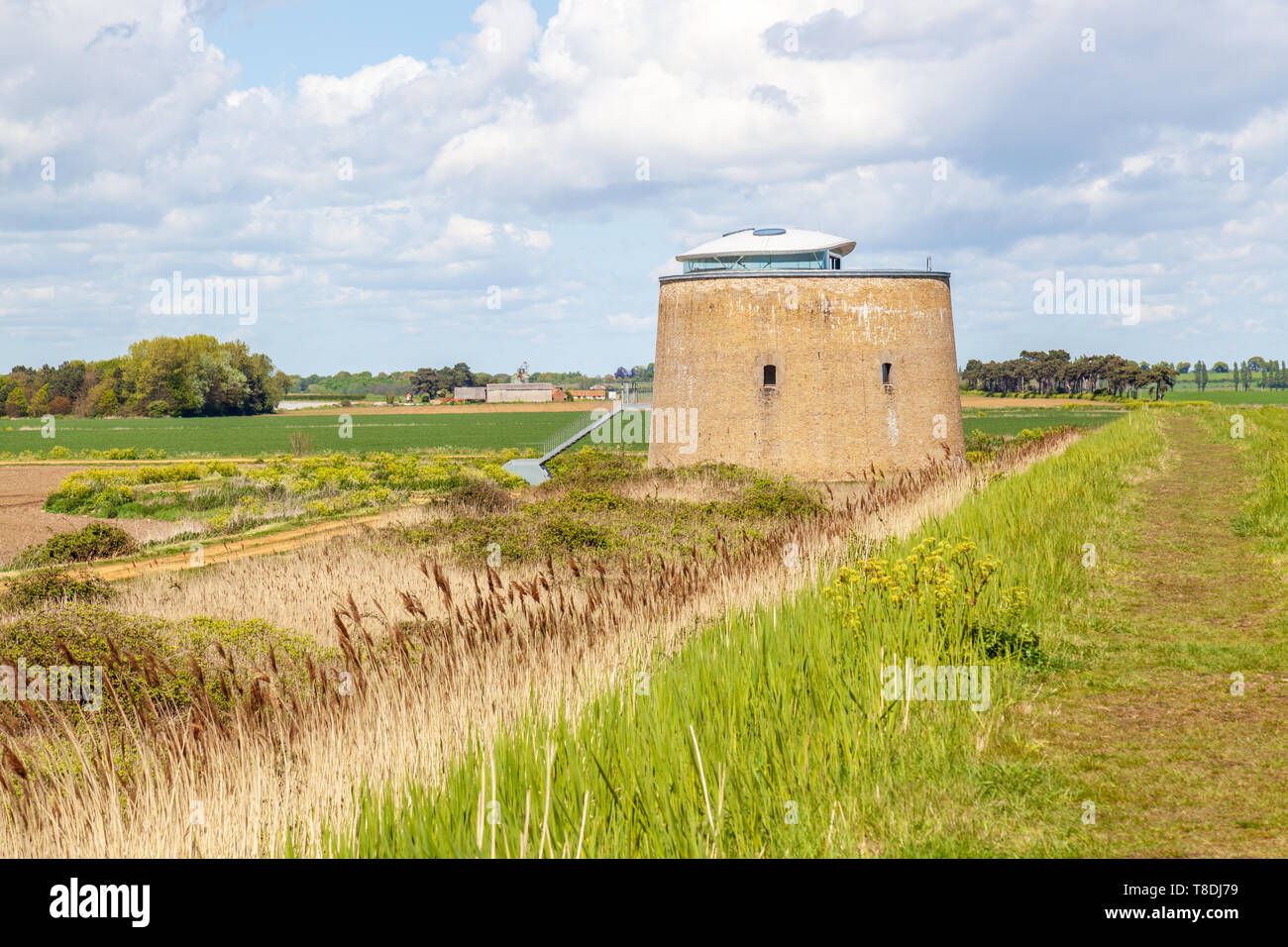 martello tower y on the suffolk coast shingle street Alderton Stock ...