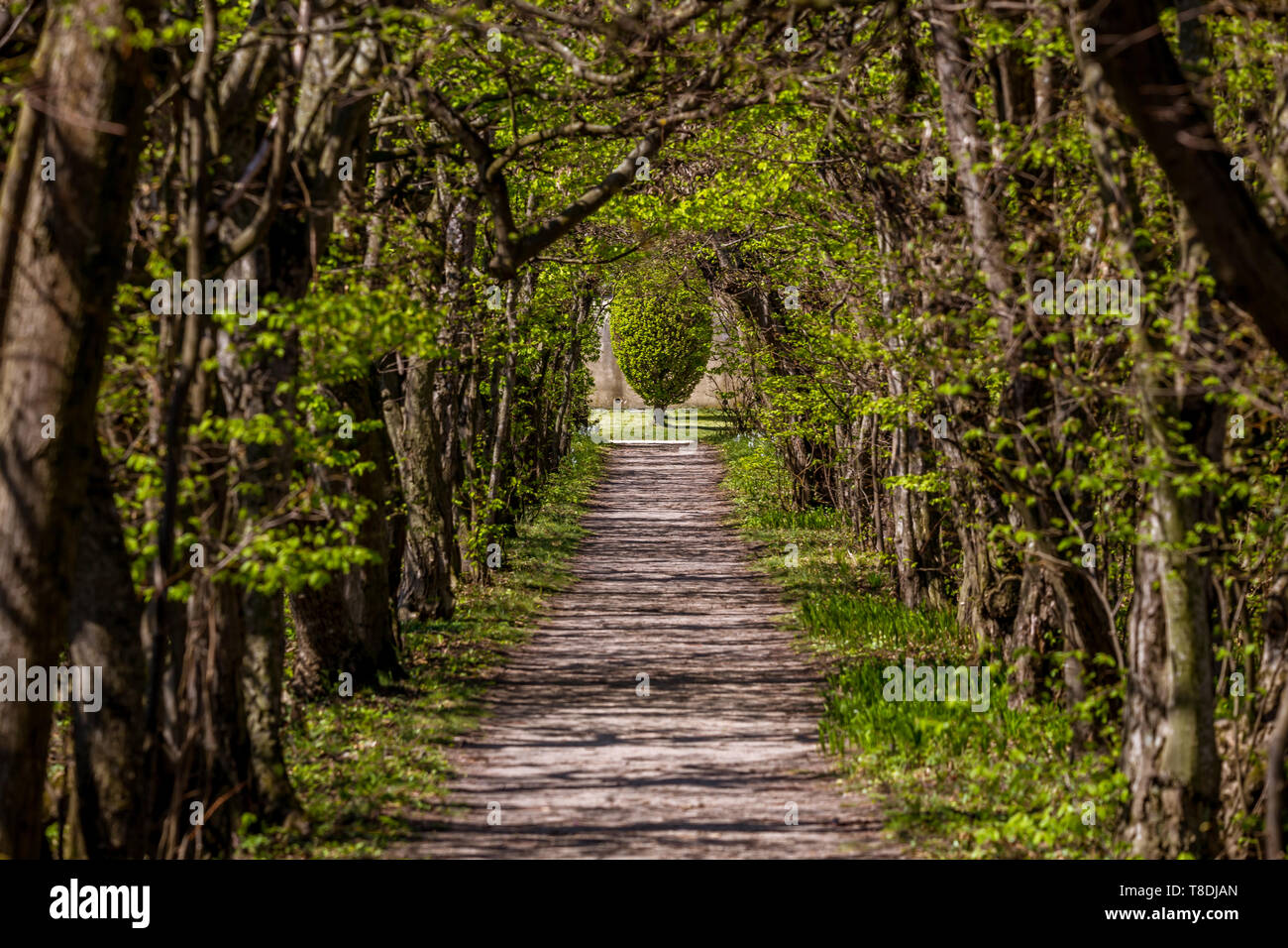 Gardens and Parks of the Baroque Milotice Castle, South Moravia Stock ...