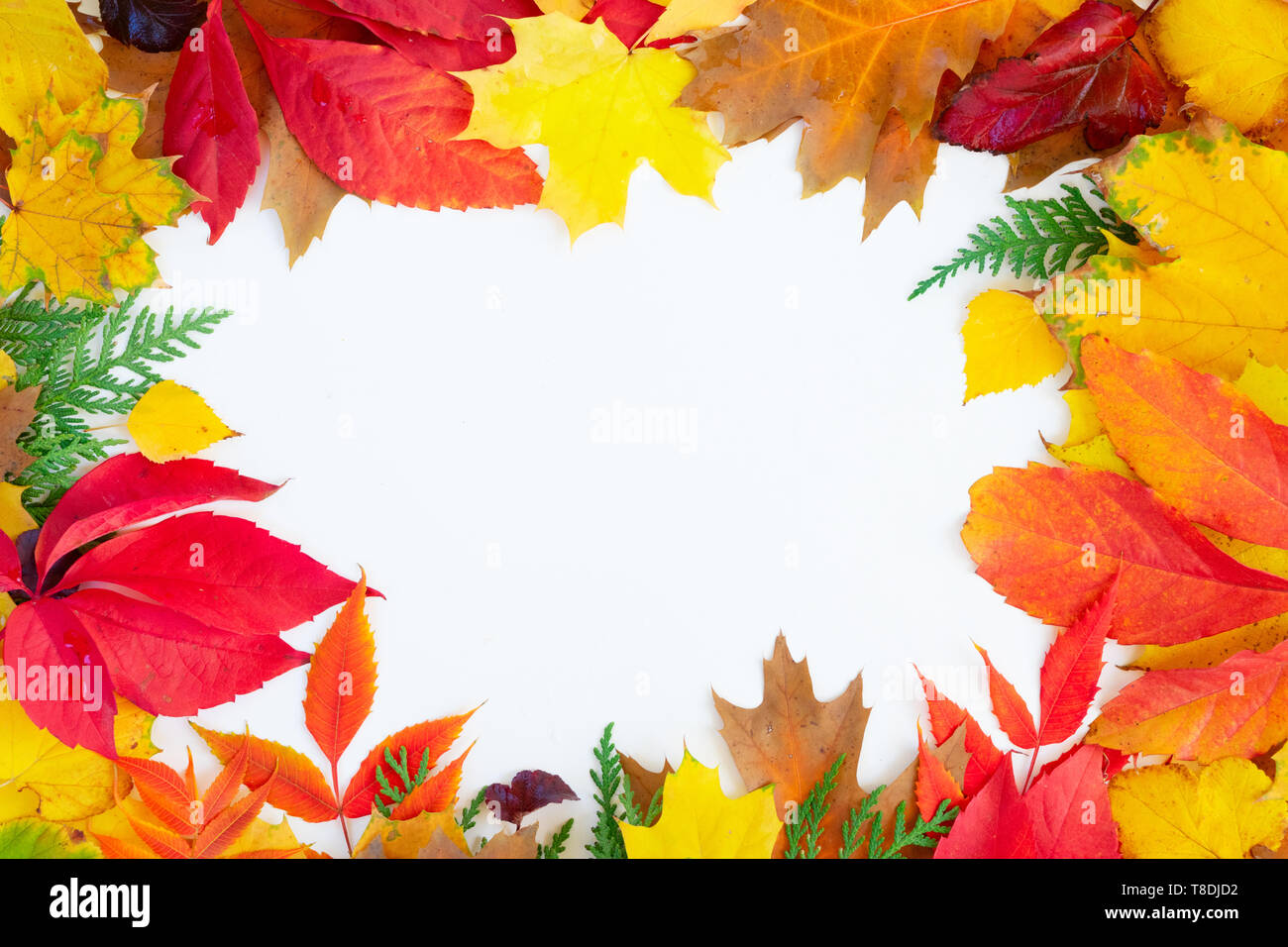 Natural fall leaves background Stock Photo - Alamy