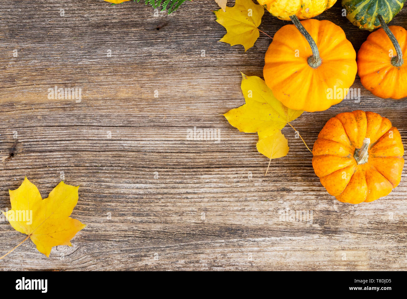 pumpkin on table Stock Photo - Alamy