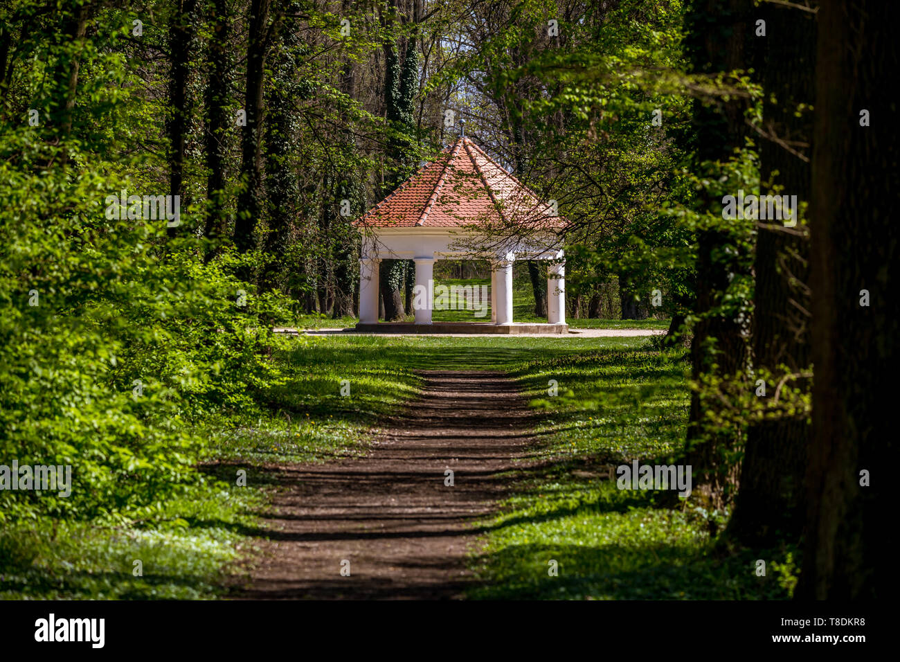Old trees, gazebo and ruins of old chapel in English park of baroque castle Milotice, South ...