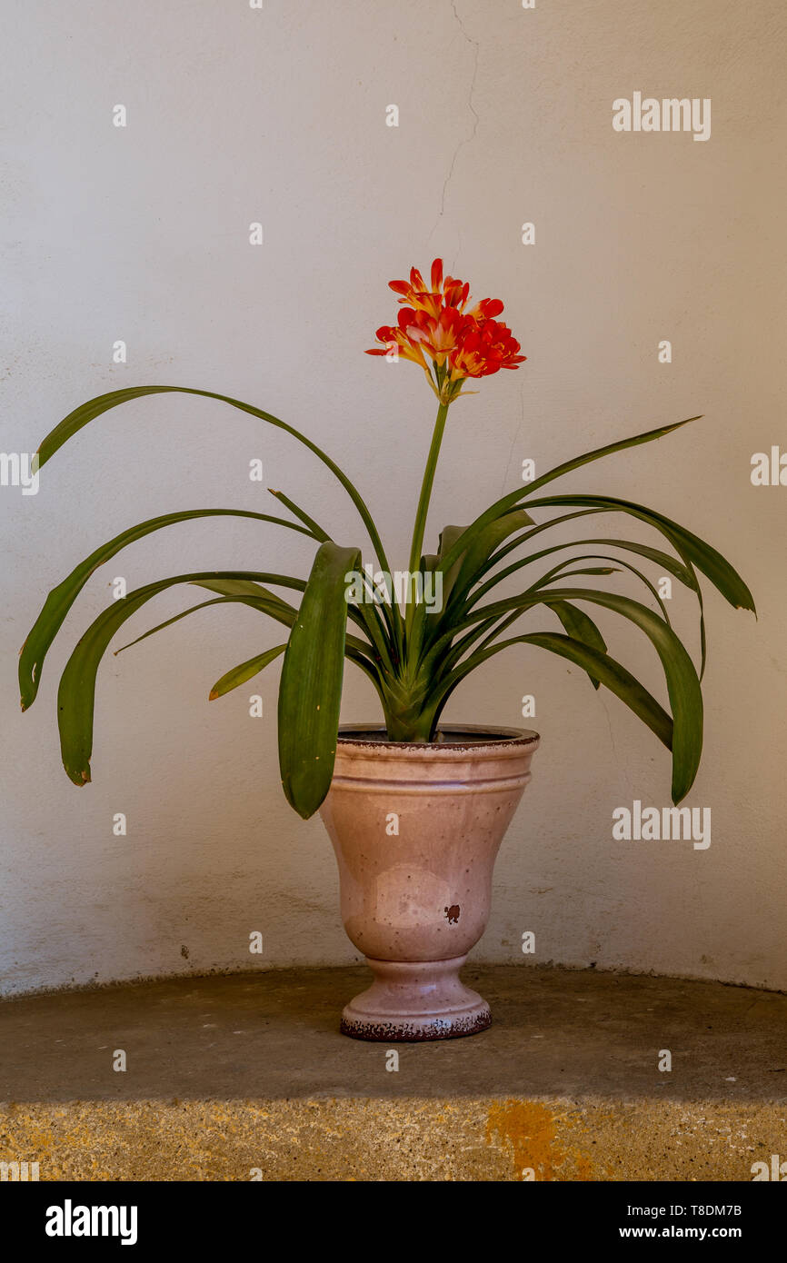 Long niche hi-res stock photography and images - Alamy